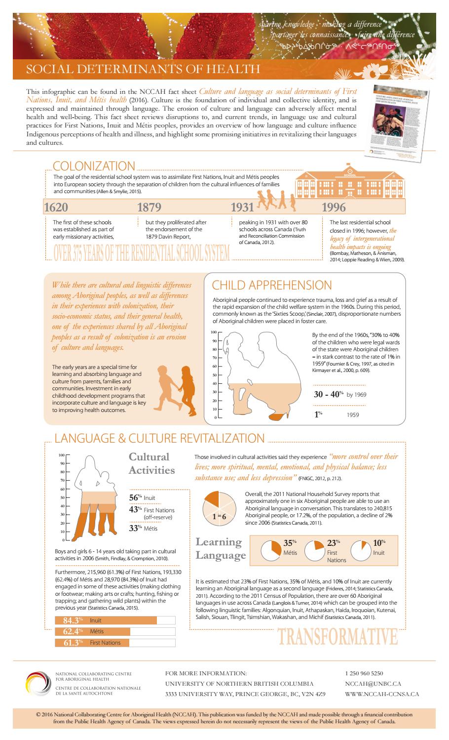 Infographic overview: Culture and language as social determinants of ...