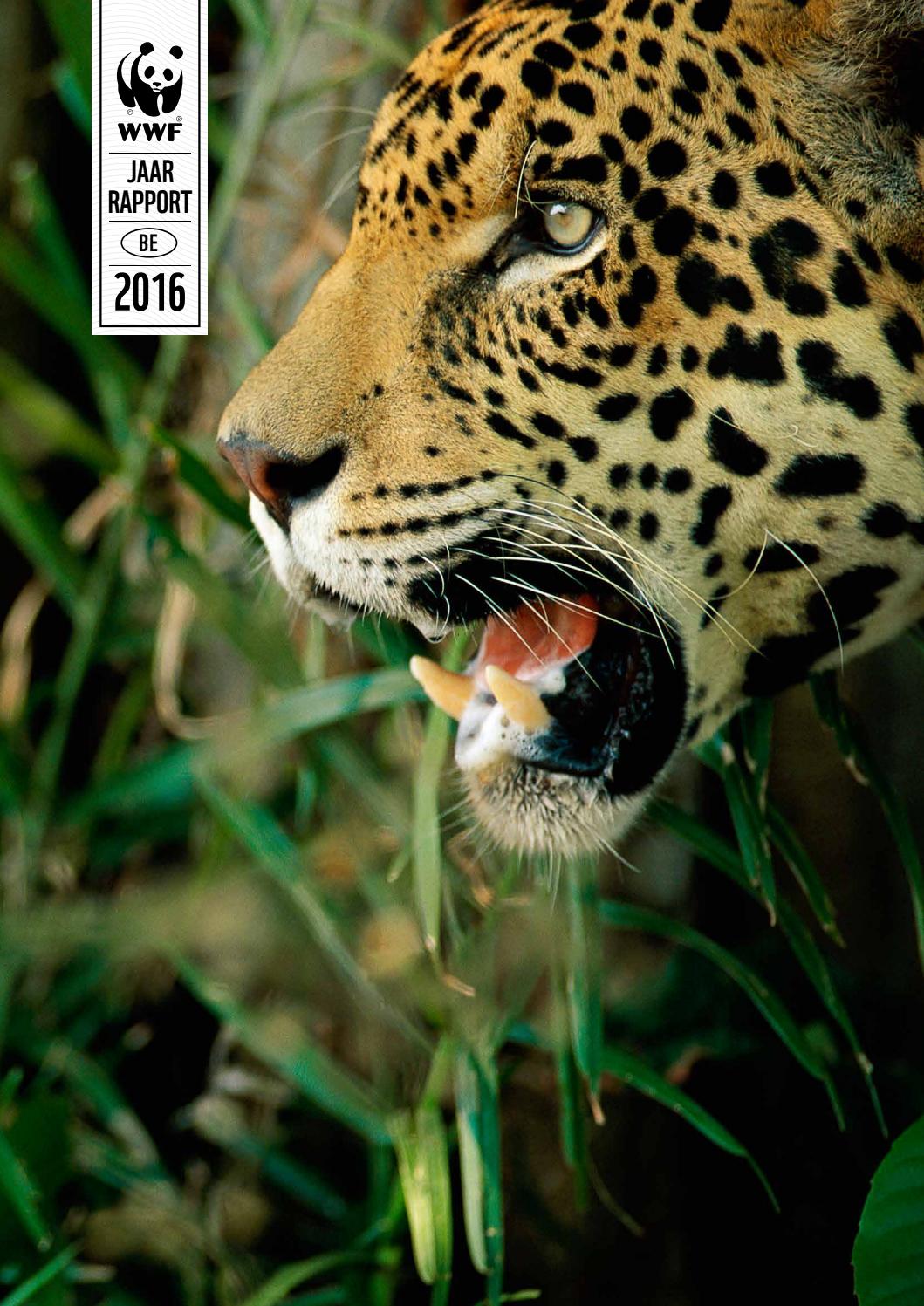 Jaarrapport 2016 by WWF-Belgium - Issuu