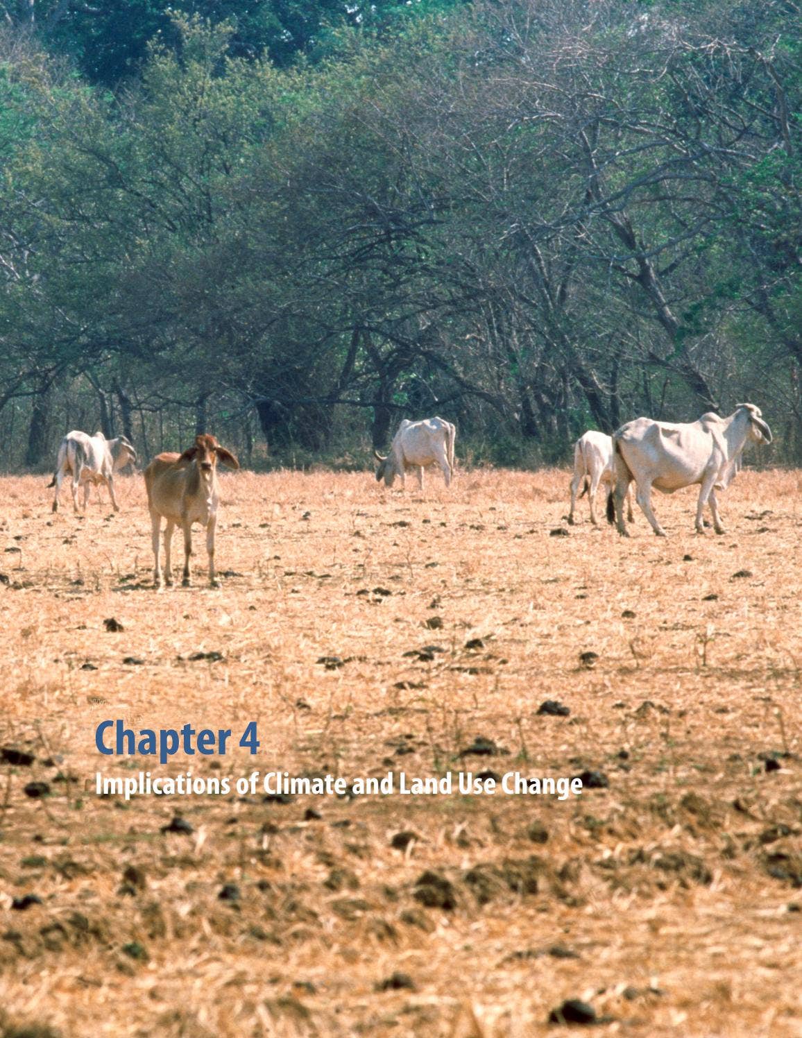 Managing watersheds for ecosystem services in the steepland neotropics ...