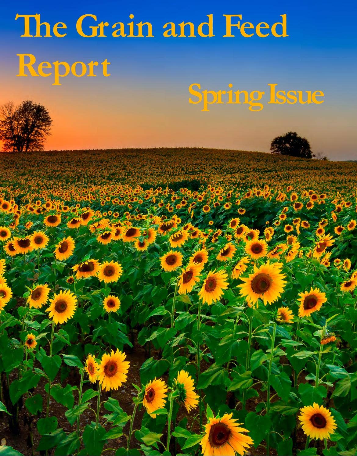 KGFA SPRING 2017 by Kansas Grain and Feed Association | Kansas ...