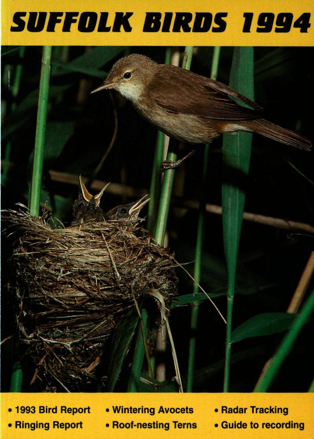 Suffolk Birds 1994 by Suffolk Naturalists' Society - Issuu
