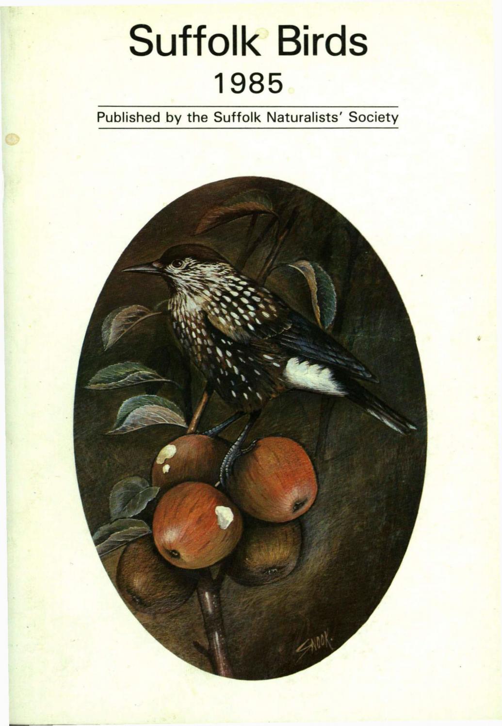 Suffolk Birds 1985 by Suffolk Naturalists' Society - Issuu
