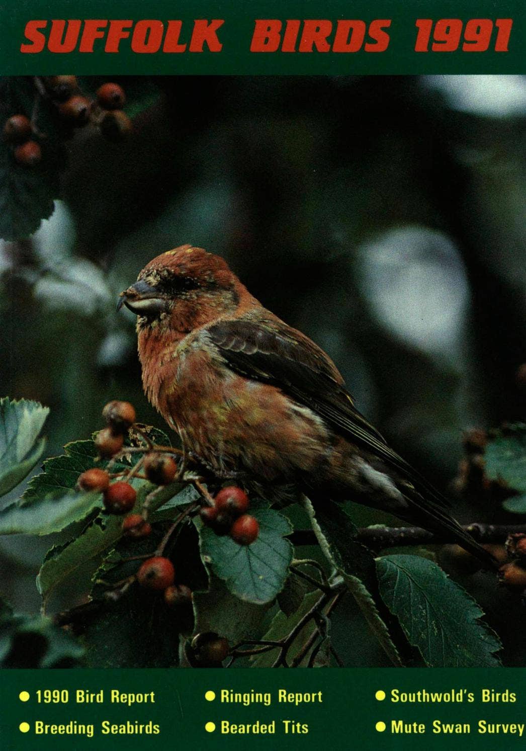 Suffolk Birds 1991 by Suffolk Naturalists' Society - Issuu