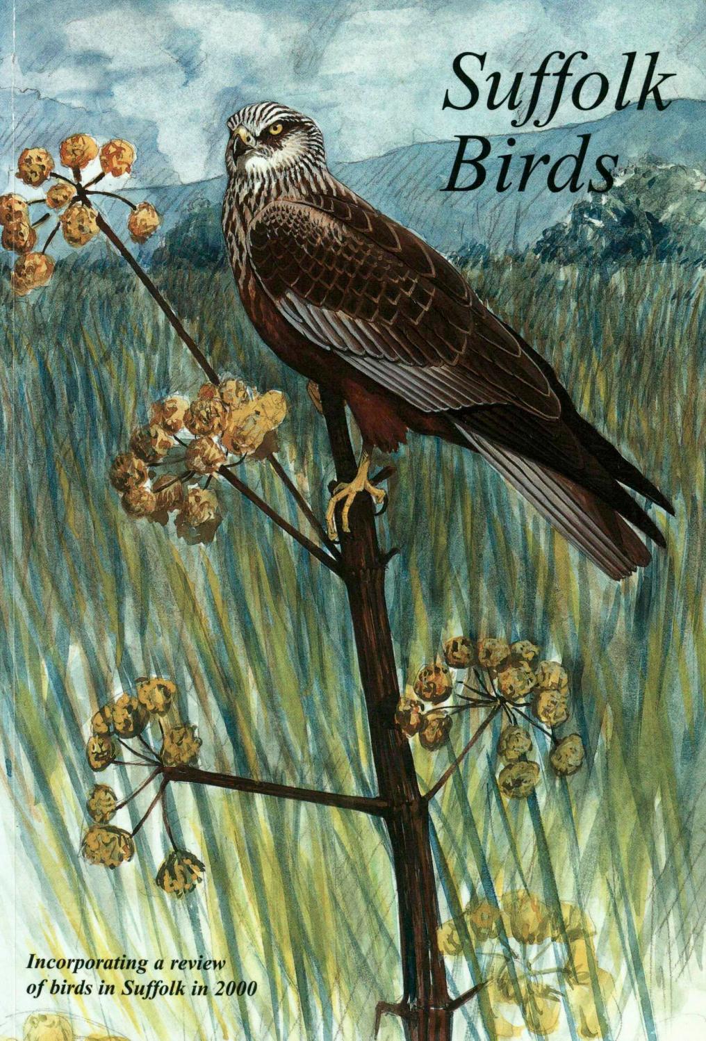 Suffolk Birds 2000 Part 1 by Suffolk Naturalists' Society - Issuu