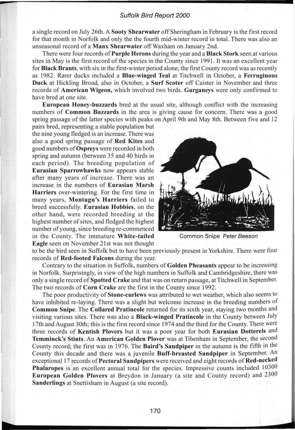Suffolk Birds 2000 Part 2 by Suffolk Naturalists' Society - Issuu
