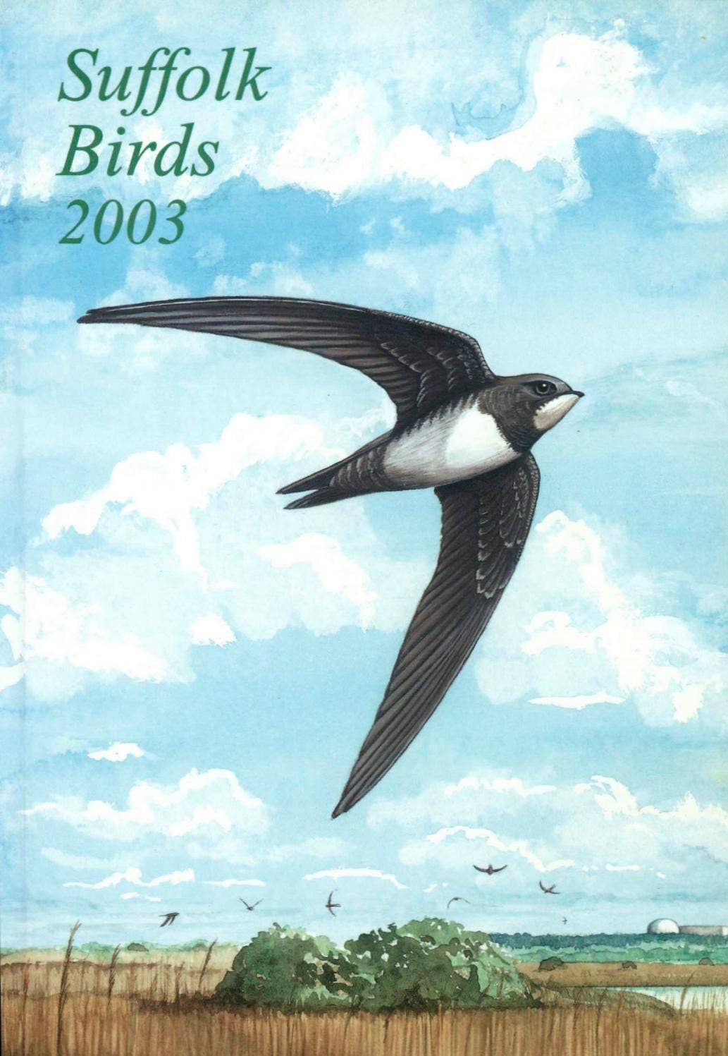 Suffolk Birds 2003 Part 1 by Suffolk Naturalists' Society - Issuu