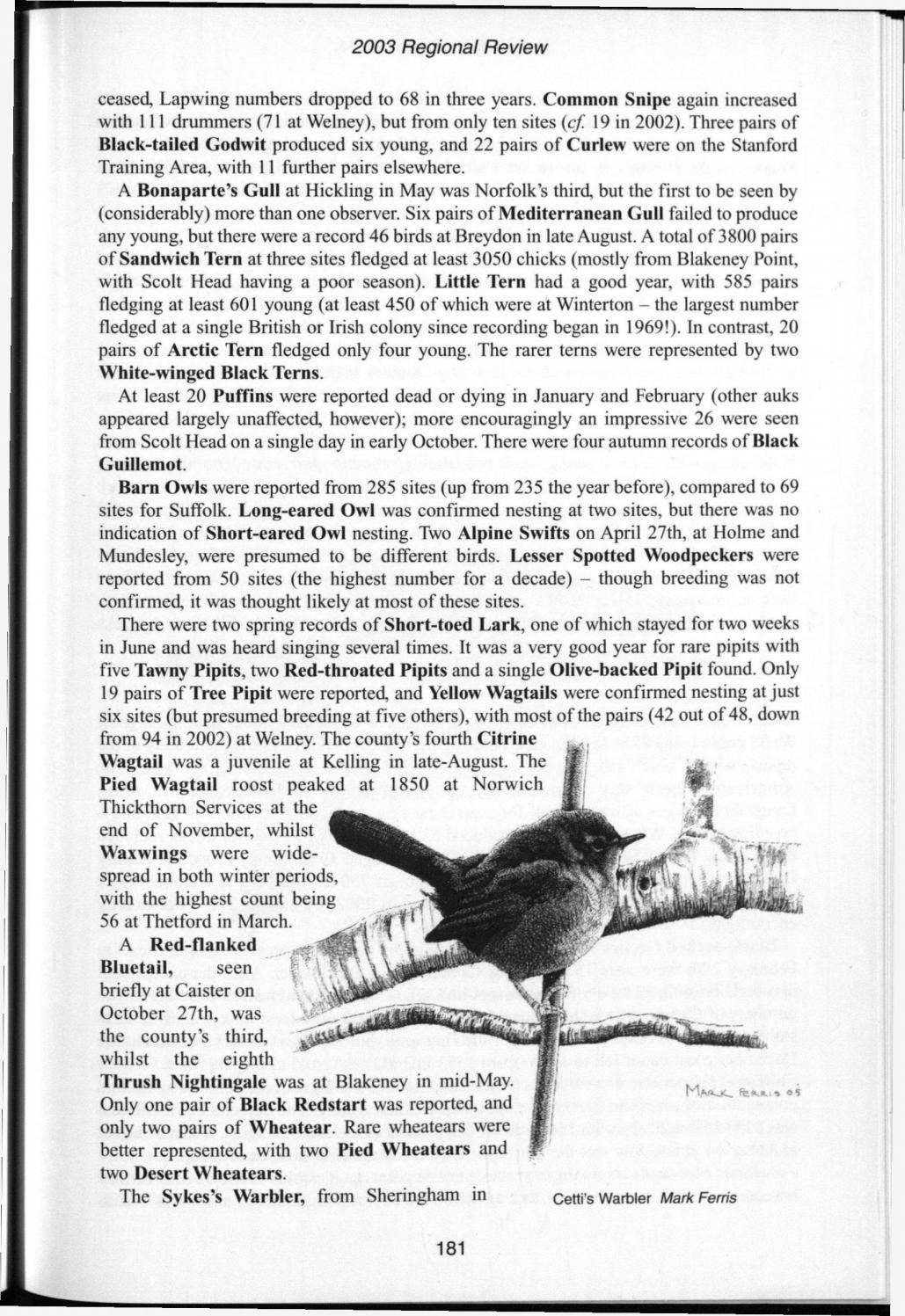 Suffolk Birds 2004 Part 2 by Suffolk Naturalists' Society - Issuu