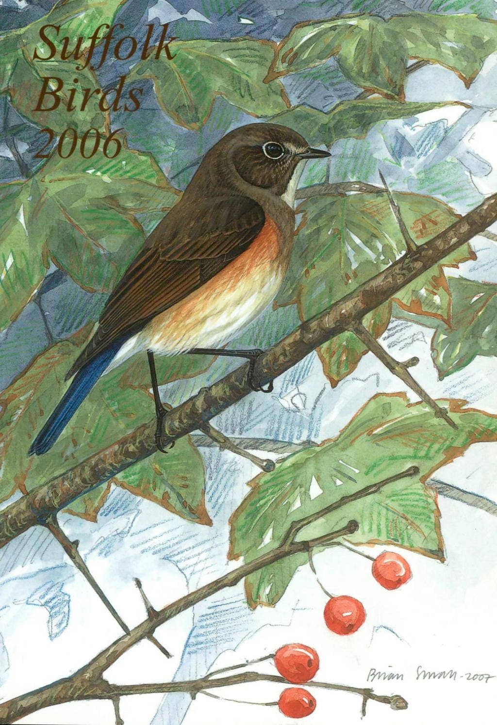 Suffolk Birds 2006 Part 1 by Suffolk Naturalists' Society - Issuu