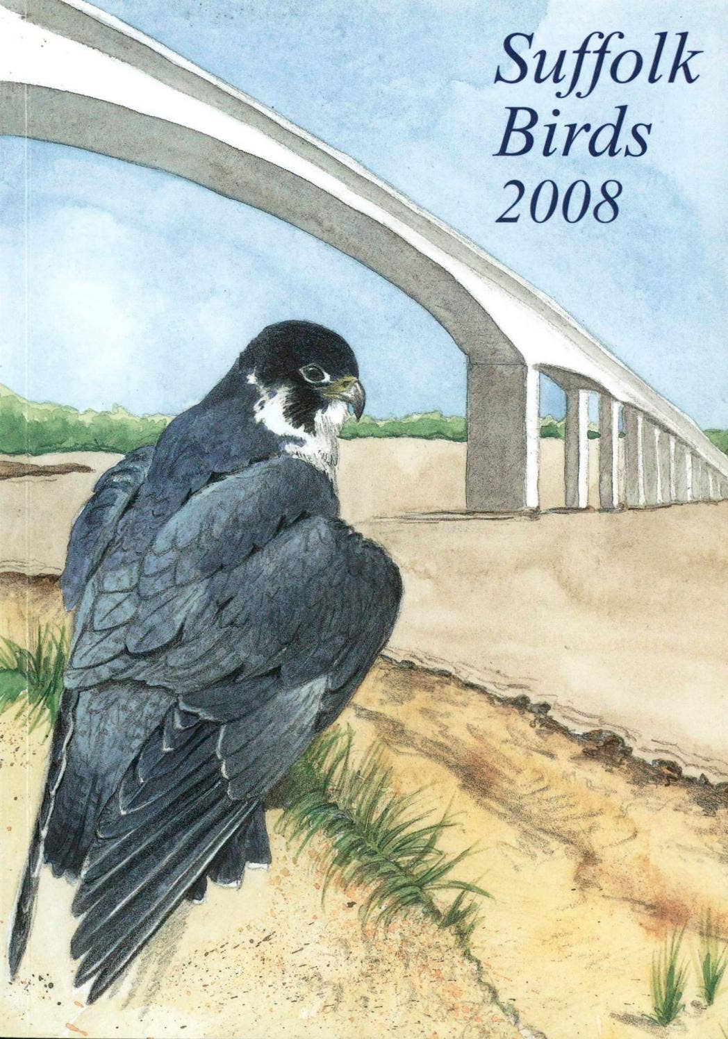 Suffolk Birds 2008 Part 1 by Suffolk Naturalists' Society - Issuu