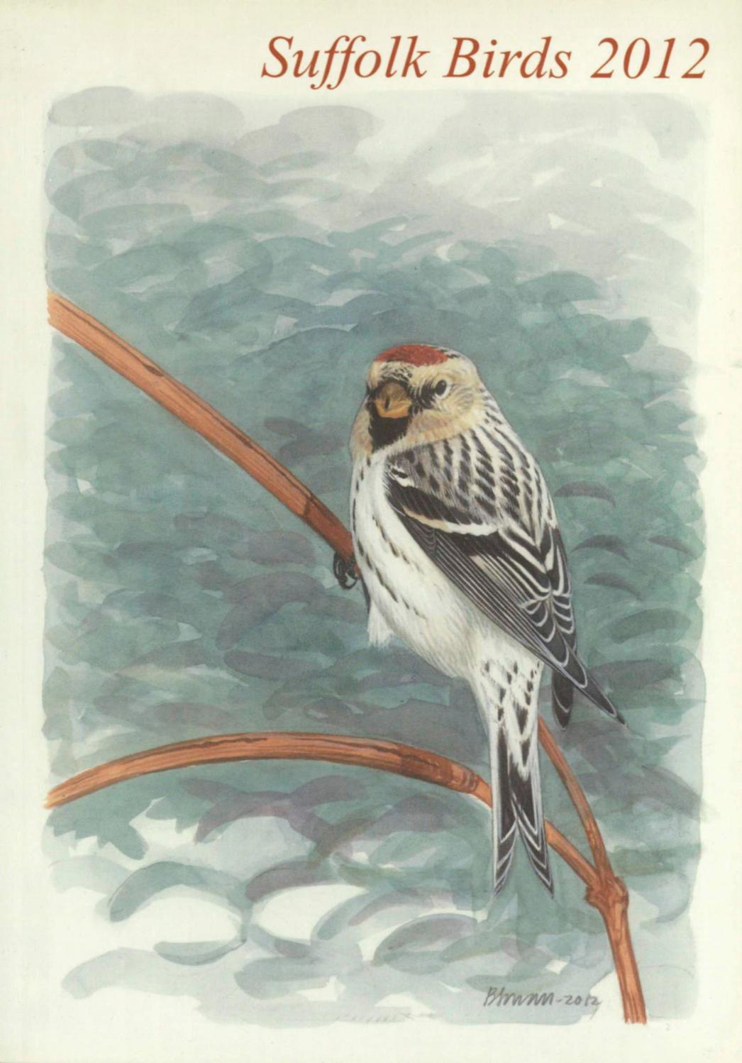 Suffolk Birds 2012 Part 1 by Suffolk Naturalists' Society - Issuu