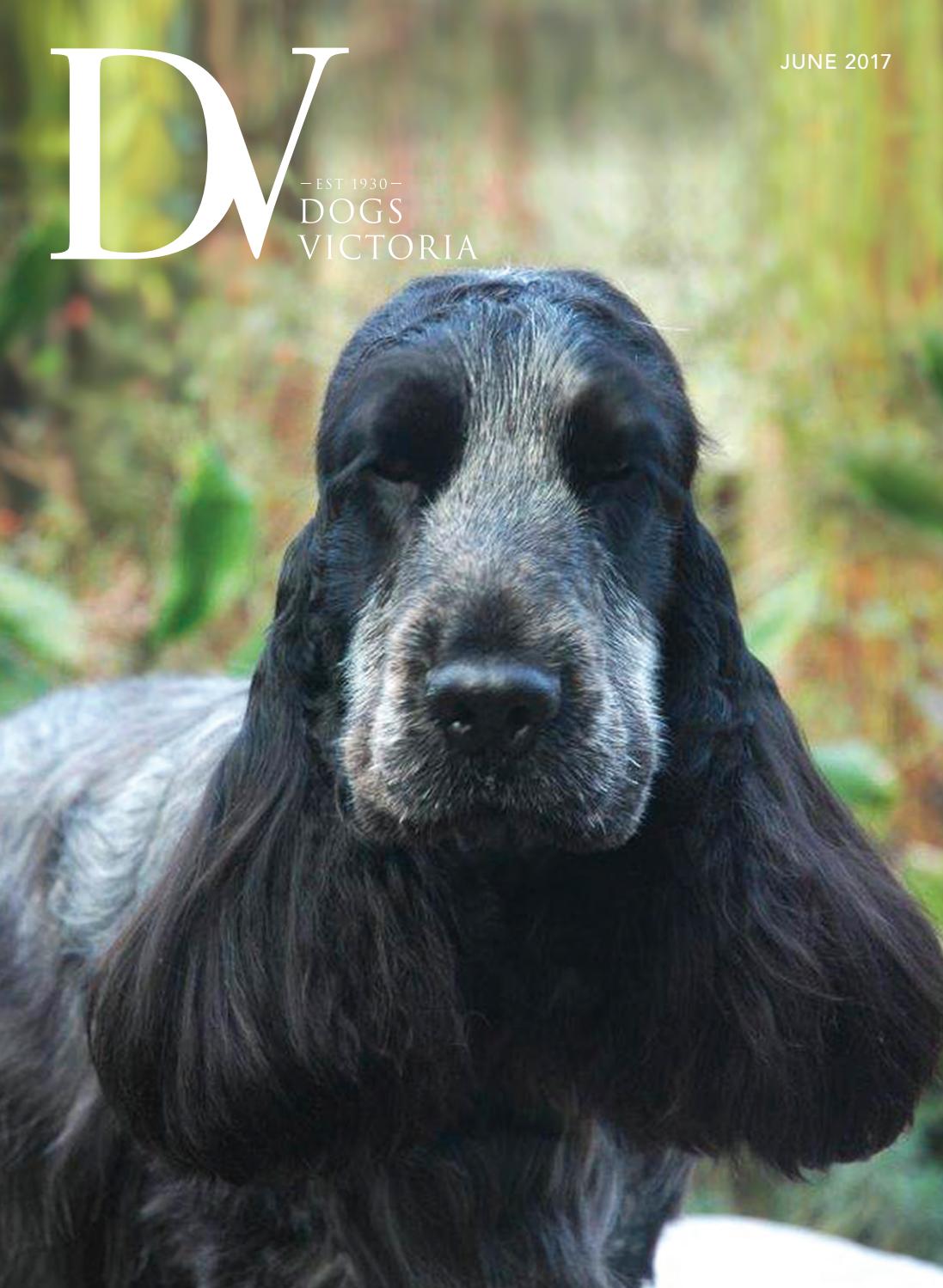 Dogs Victoria Magazine - June 2017 by Dogs Victoria - Issuu
