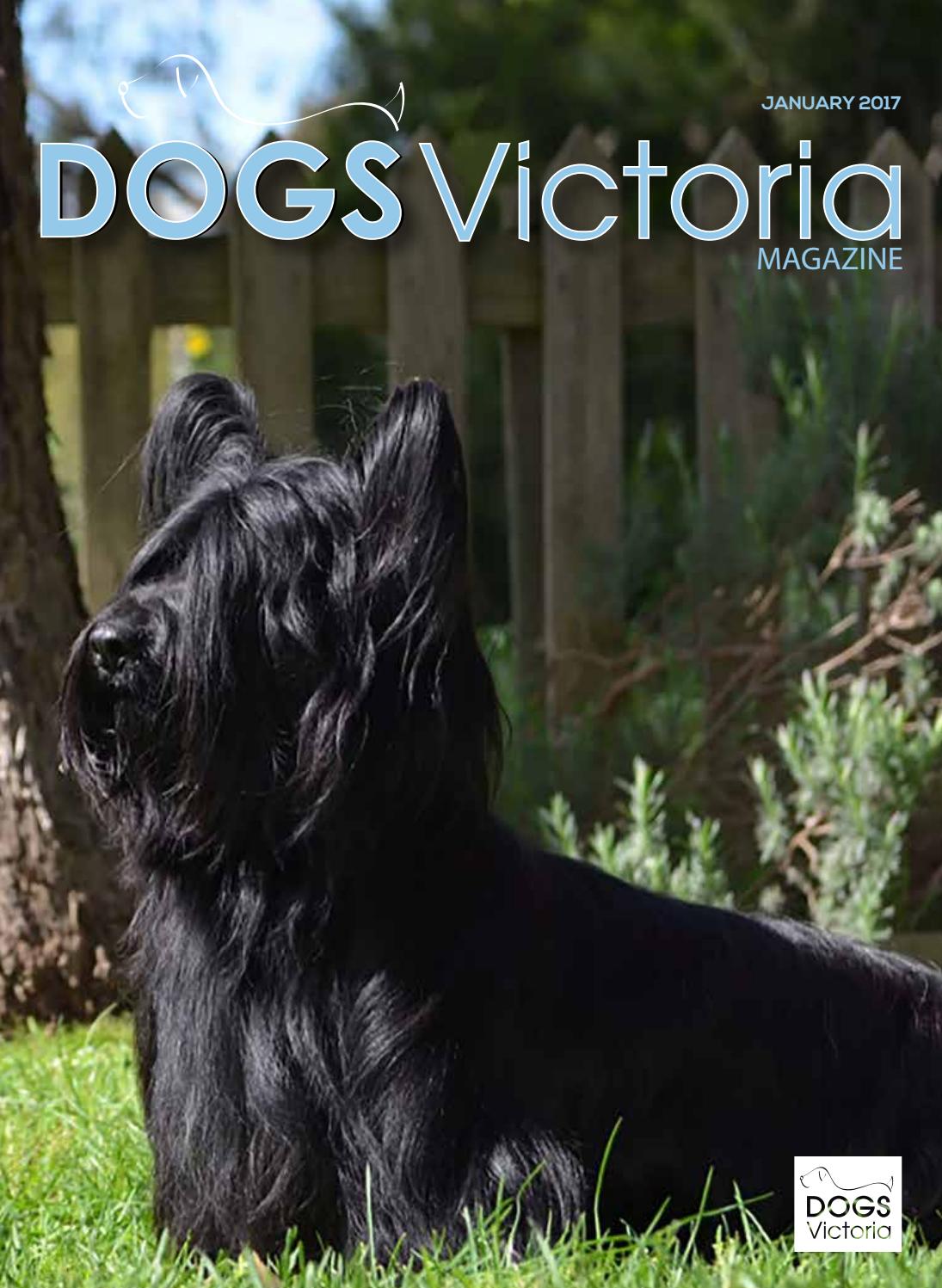 Dogs Victoria Magazine - January 2017 by Dogs Victoria - Issuu
