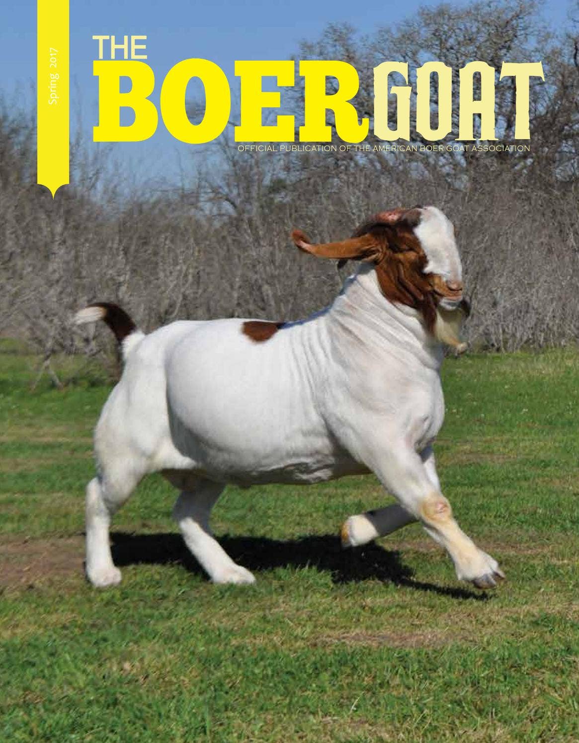 The Boer Goat - Spring 2017 by American Boer Goat Association - Issuu