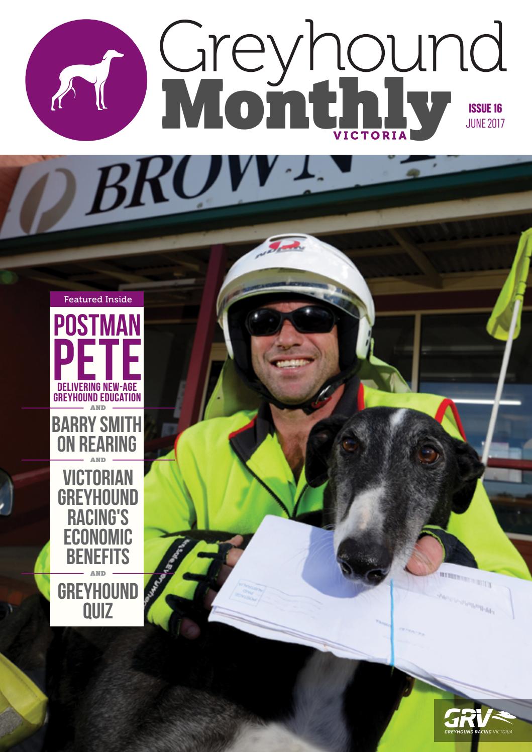 Greyhound Monthly Victoria - Issue 16 by Greyhound Racing Victoria - Issuu