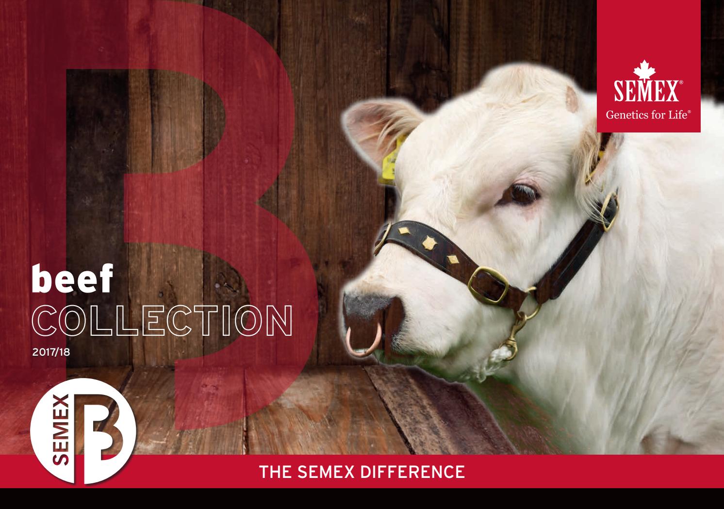 2017 Semex UK Beef Collection by Semex - Issuu