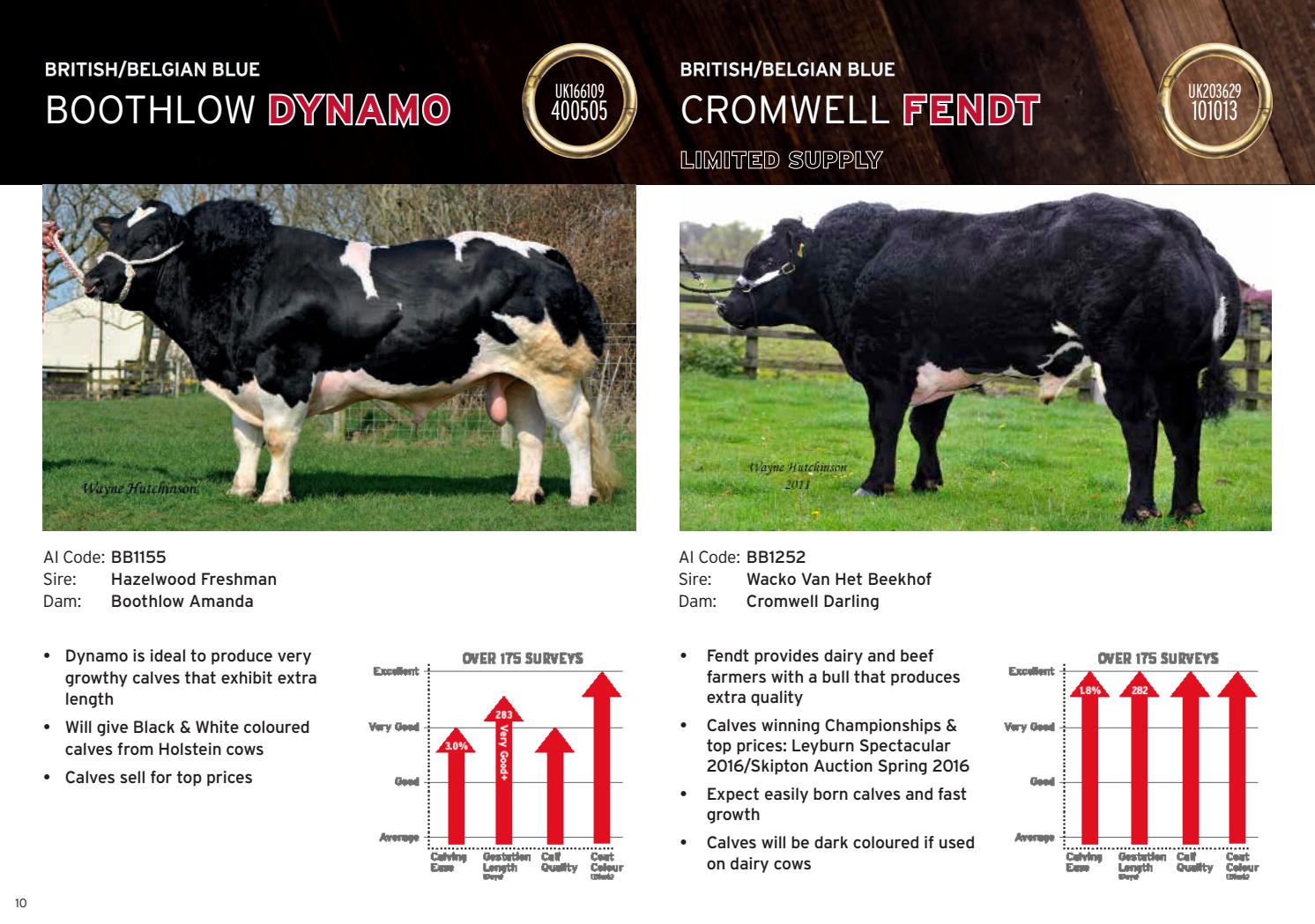 2017 Semex UK Beef Collection by Semex - Issuu