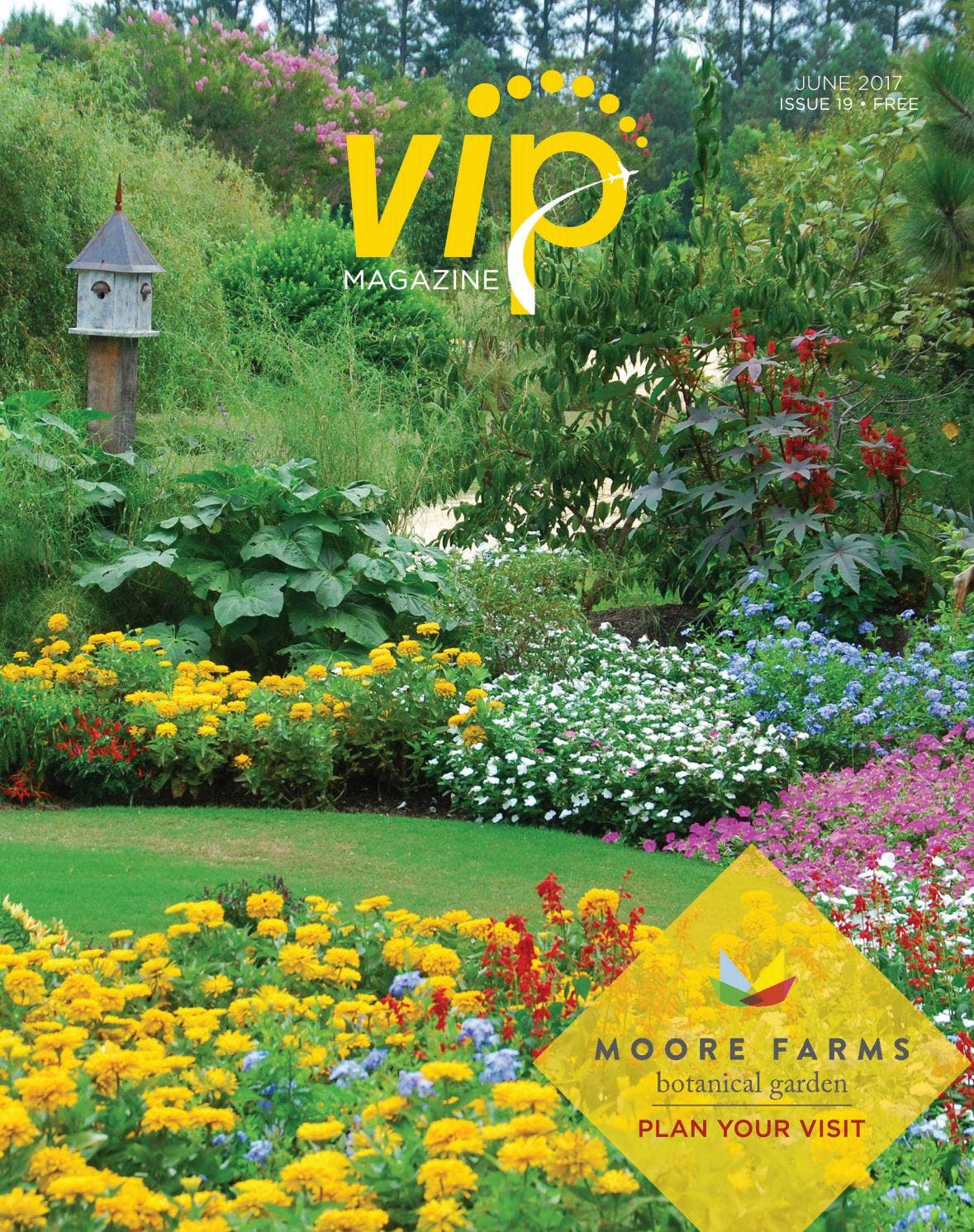 June 2017 by VIP Magazine - Issuu