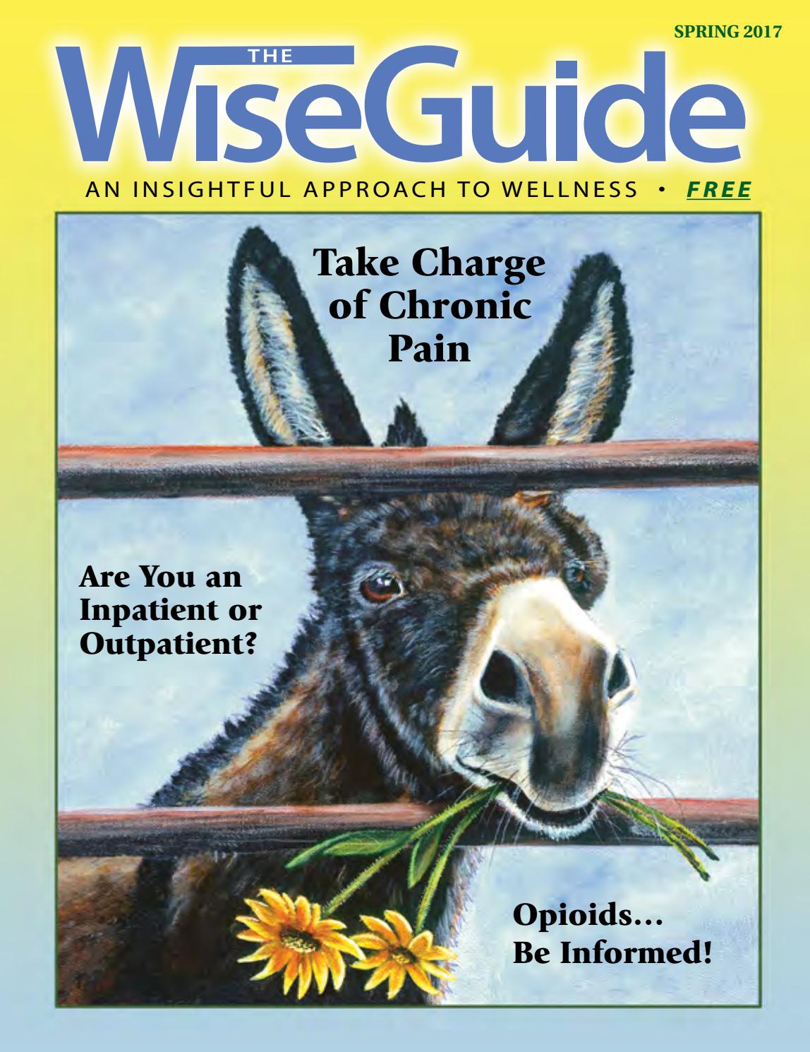 The Wise Guide Spring 2017 by Jonnie Bradley - Issuu