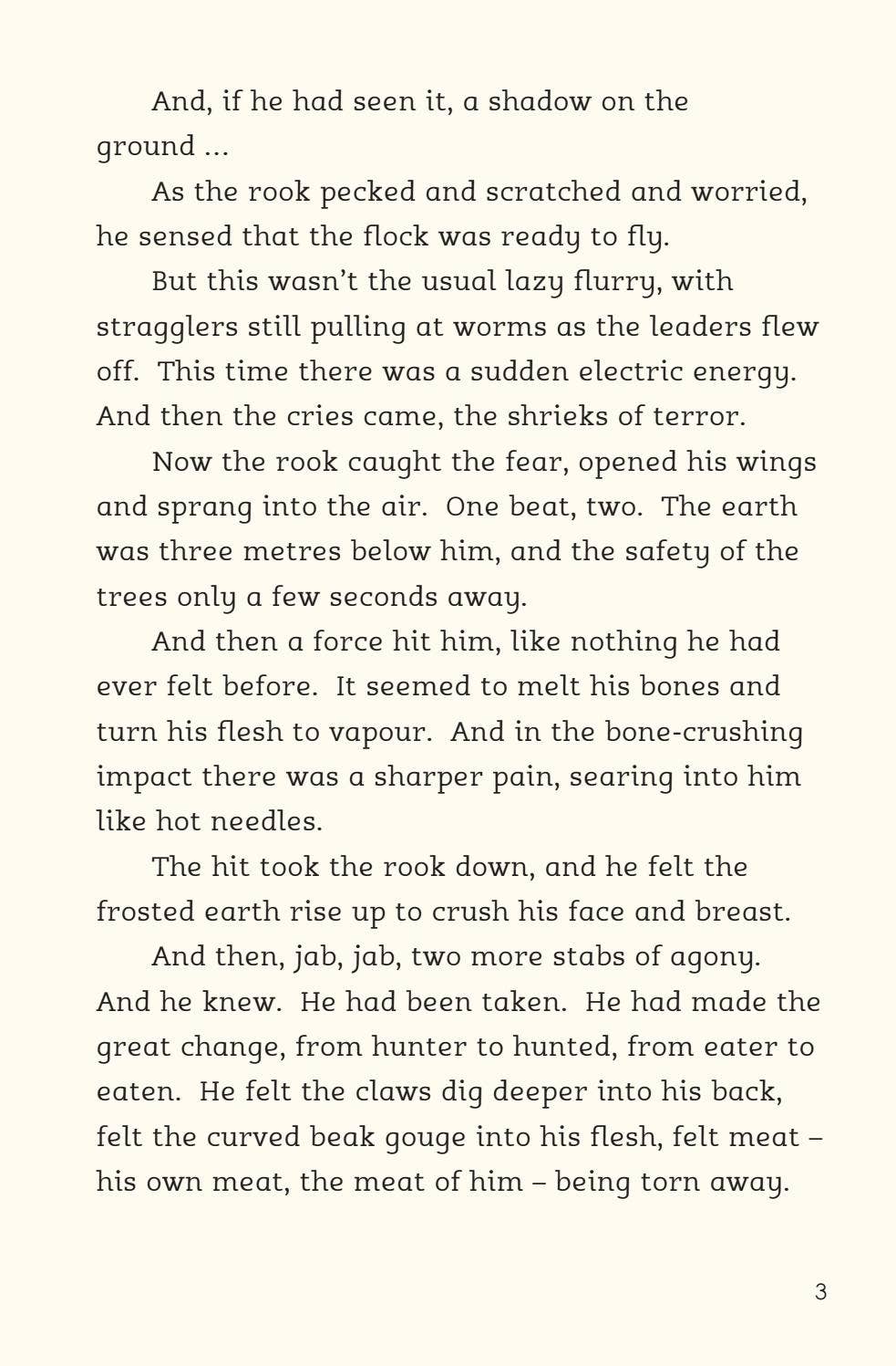 Rook by Anthony McGowan by Barrington Stoke - Issuu