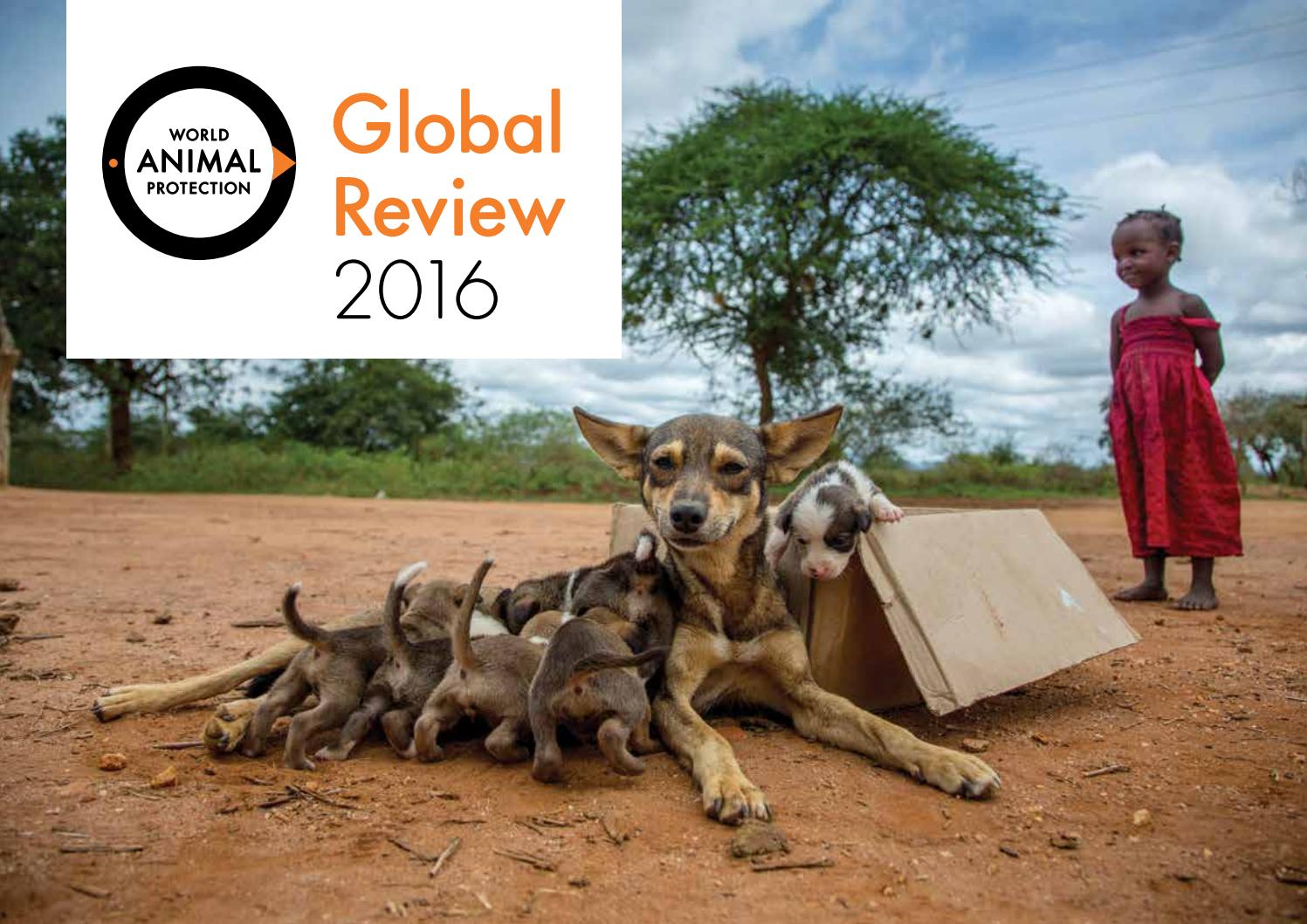 2016 Global Review - World Animal Protection by World Animal Protection ...