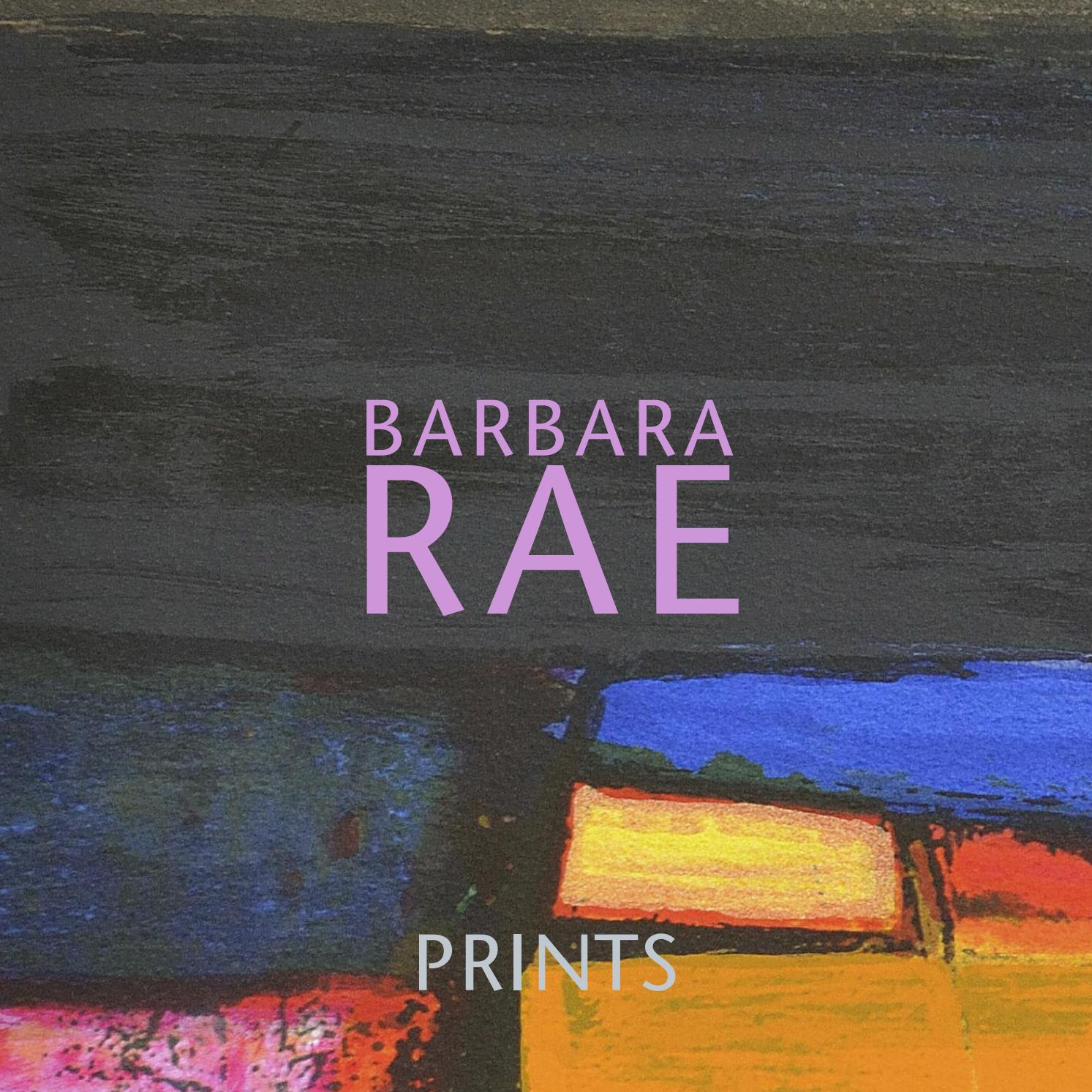BARBARA RAE PRINTS by Portland Gallery - Issuu