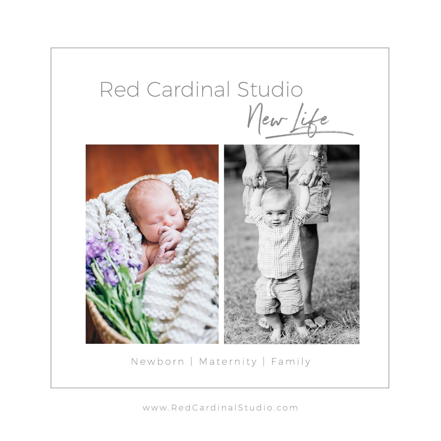 Rcsb mini guide by Red Cardinal Studio - Issuu