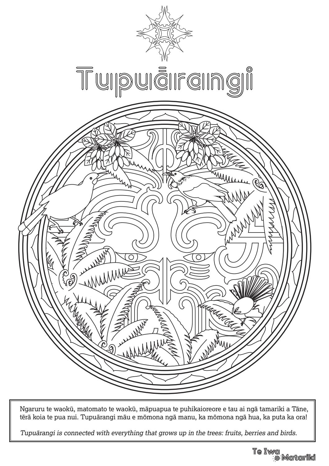 Te Iwa o Matariki colouring book by Te Wananga o Aotearoa - Issuu