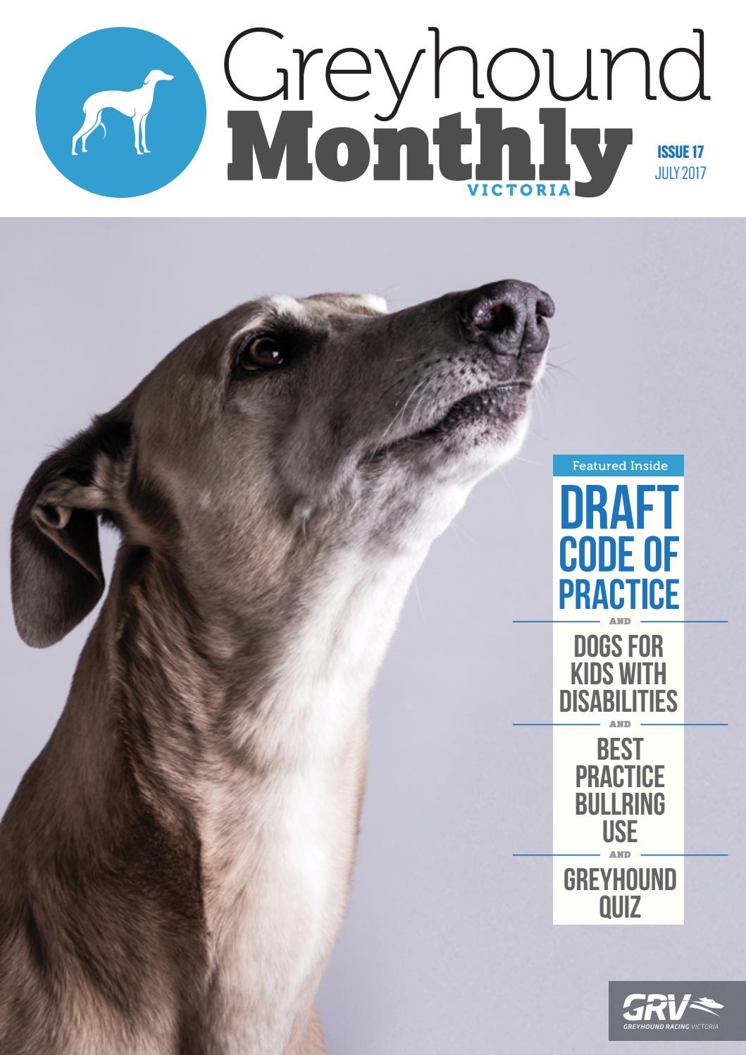 Greyhound Monthly Victoria - Issue 17 by Greyhound Racing Victoria - Issuu