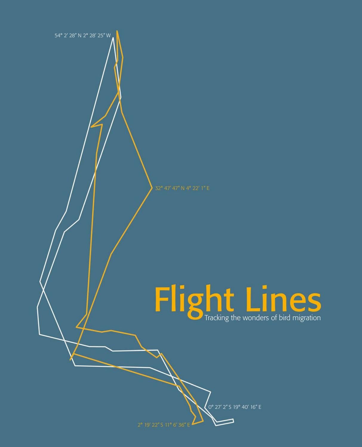 Flight Lines: Tracking the Wonders of Bird Migration (sampler) by ...
