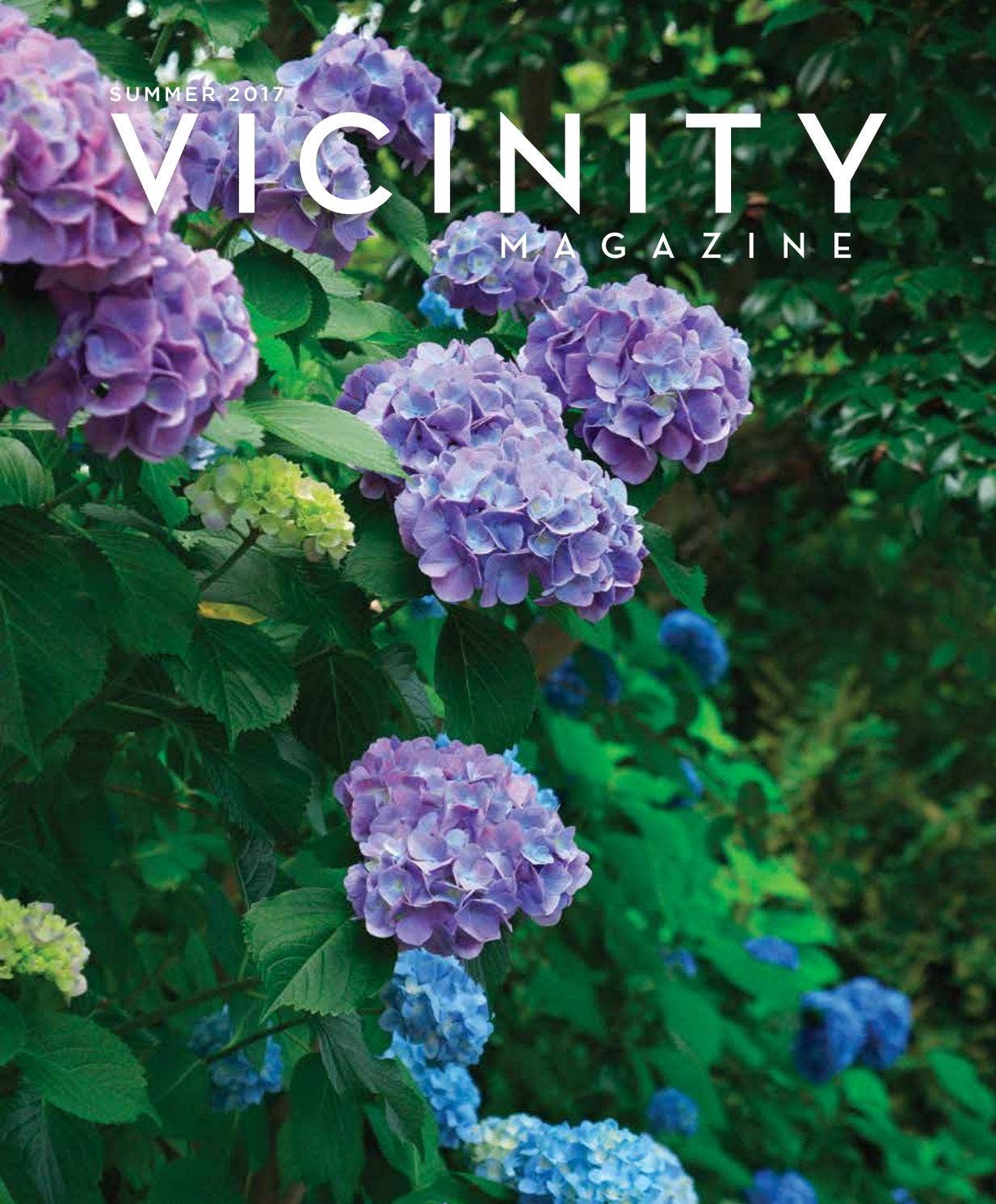 Vicinity Magazine by Vicinity Media Group - Issuu
