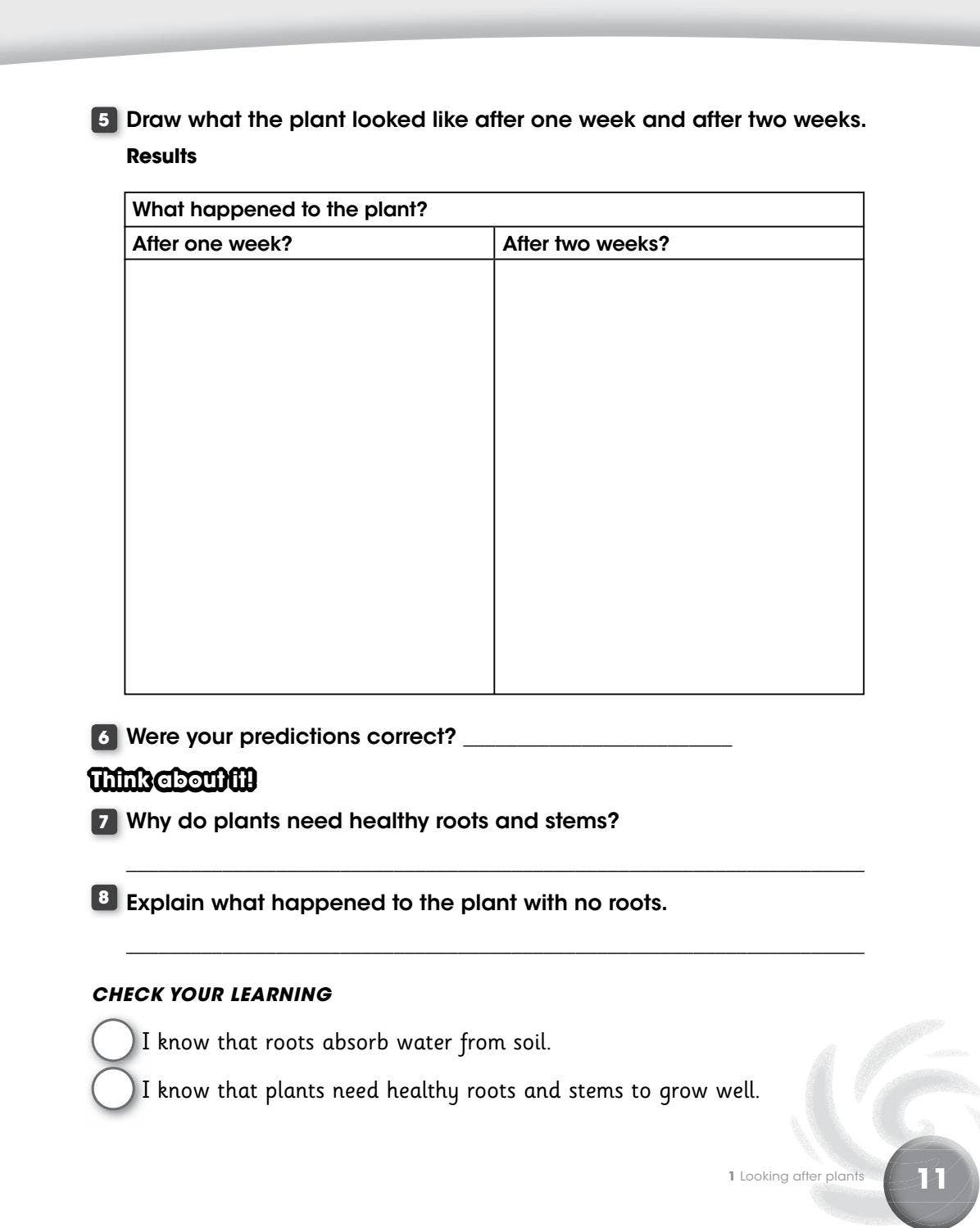 Preview Cambridge Primary Science Skills Builder 3 by Cambridge ...