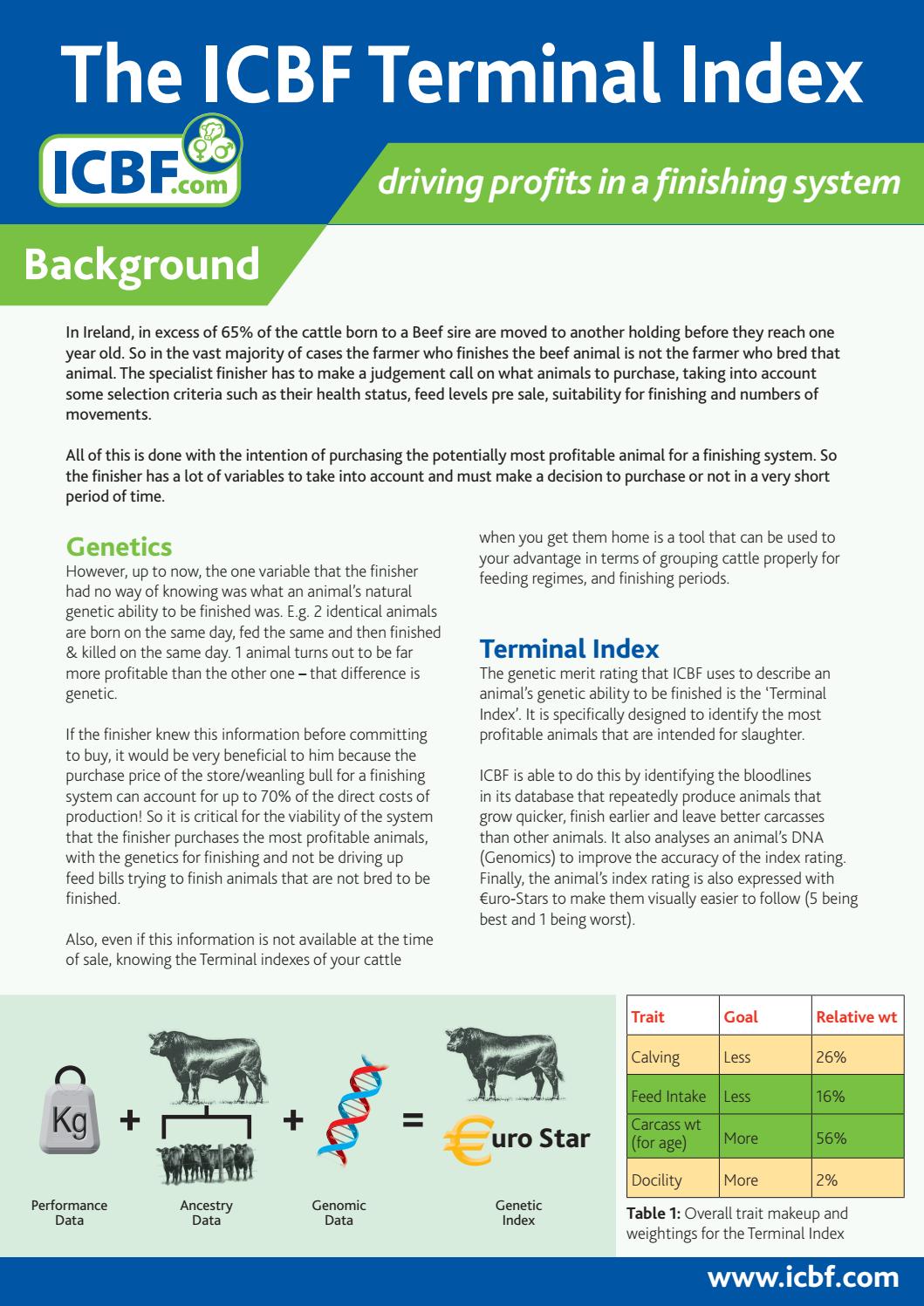 The ICBF Terminal Index - driving profits in a finishing system by ICBF ...