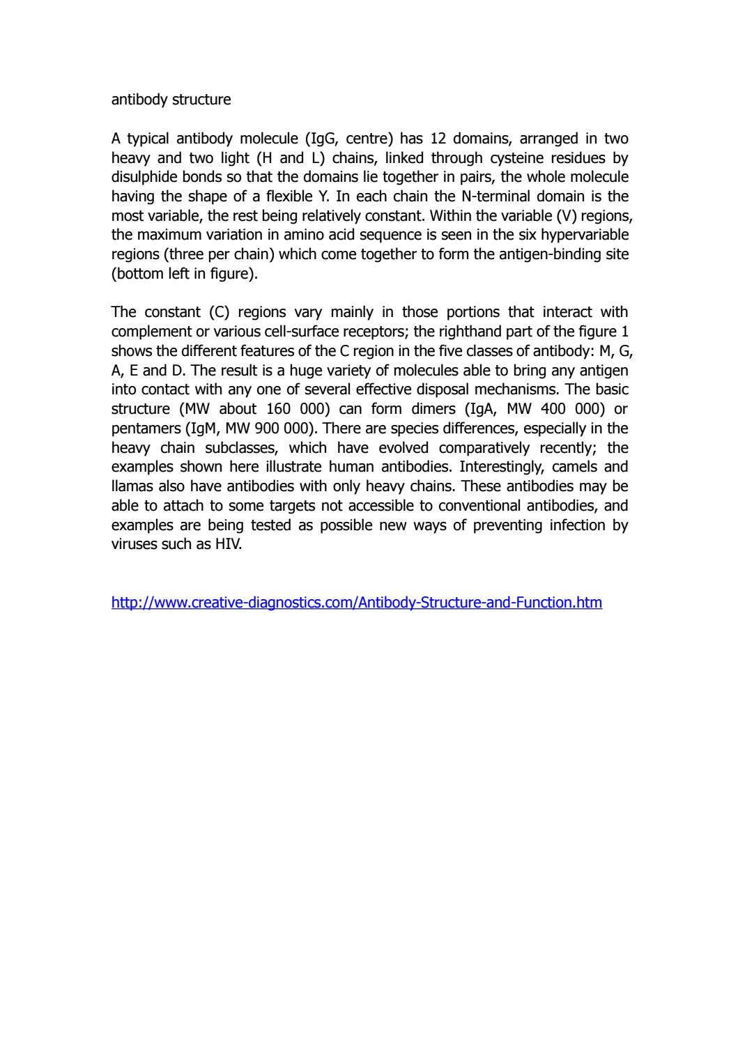 Antibody structure by Creative Diagnostics - Issuu