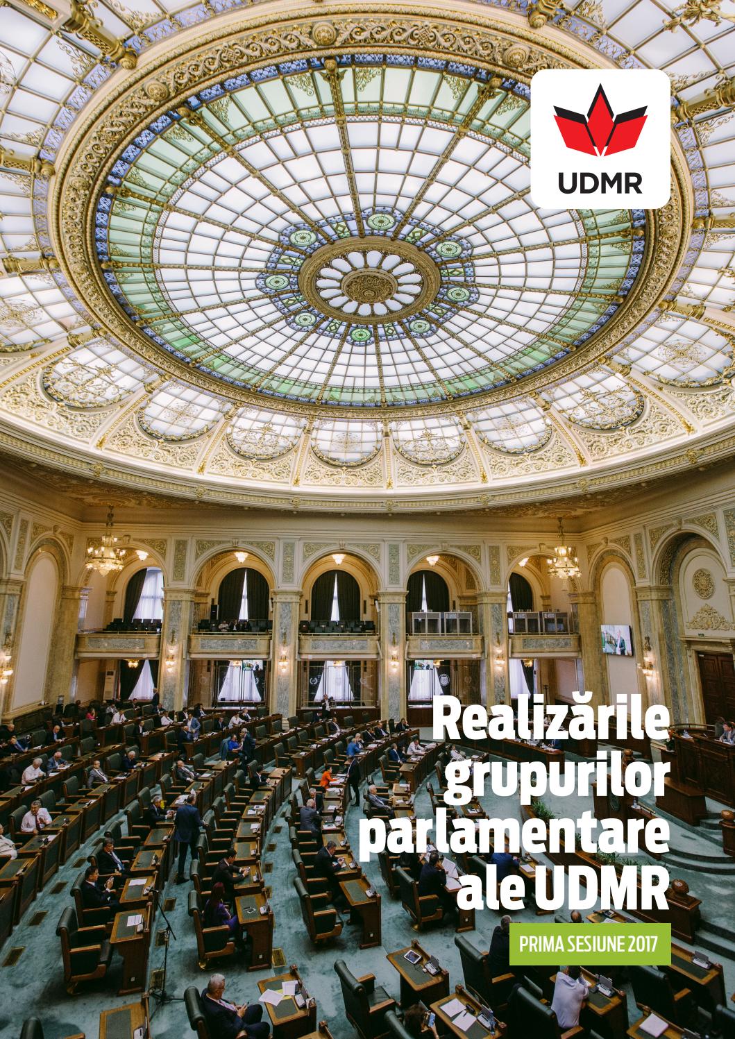 Realizările grupurilor parlamentare ale UDMR by RMDSZ Website - Issuu