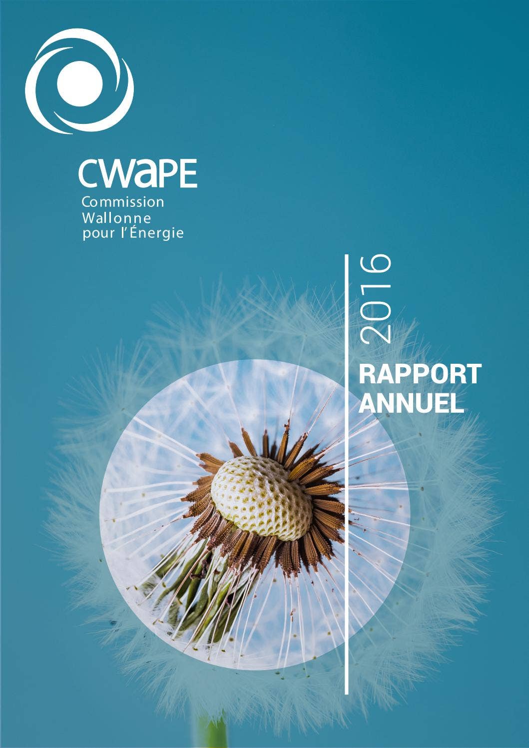 Rapport annuel 2016 de la CWaPE by CWaPE - Issuu