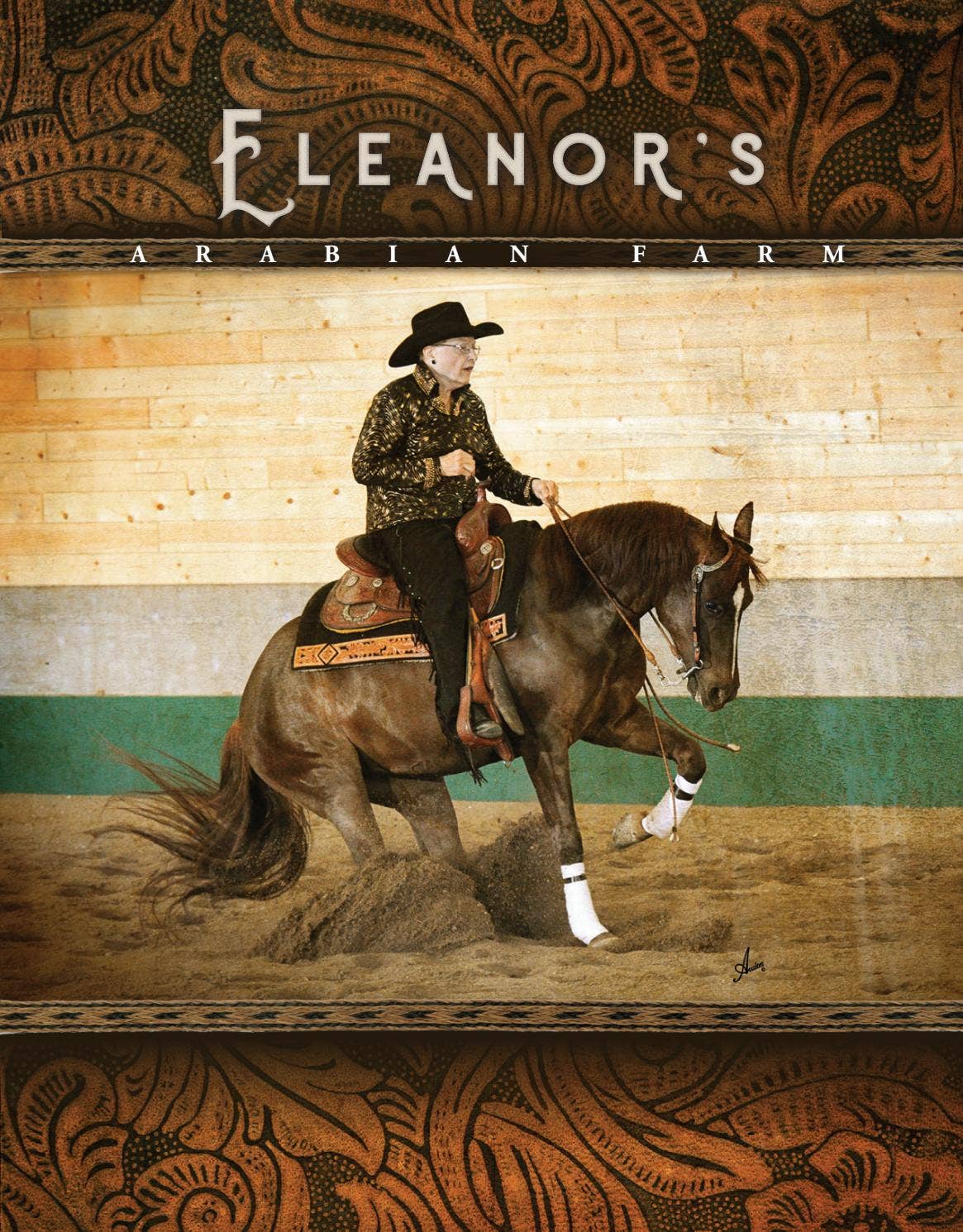 Eleanor’s Arabian Farm by Arabian Horse World - Issuu