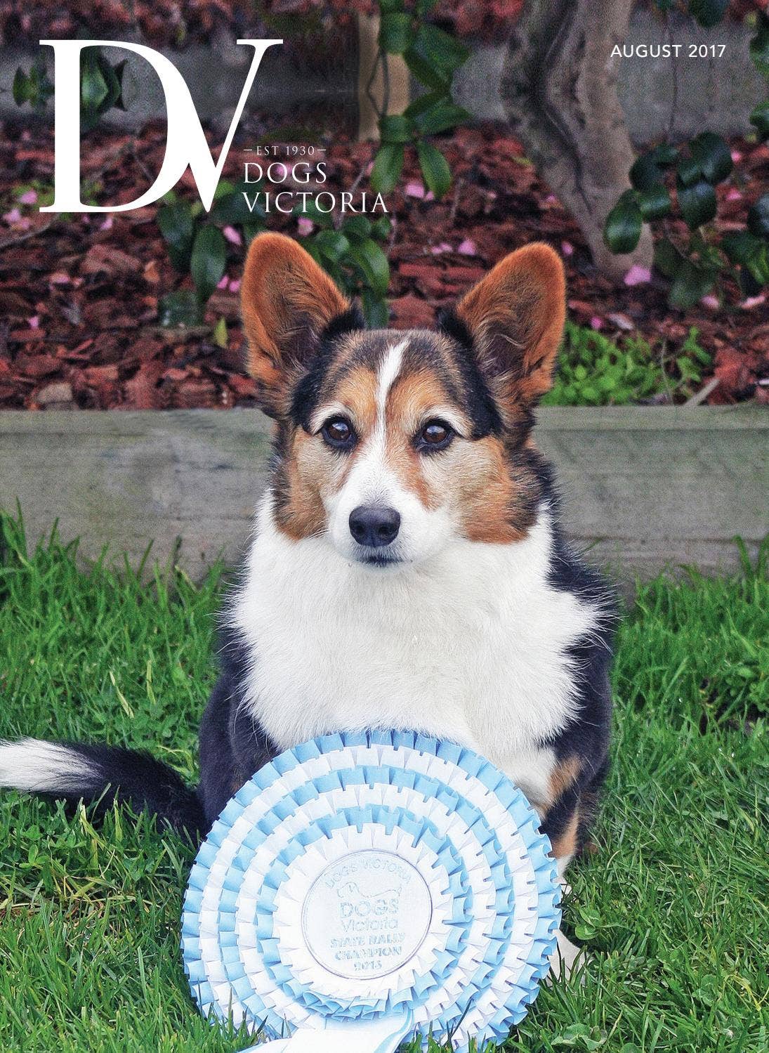 Dogs Victoria Magazine - August 2017 by Dogs Victoria - Issuu