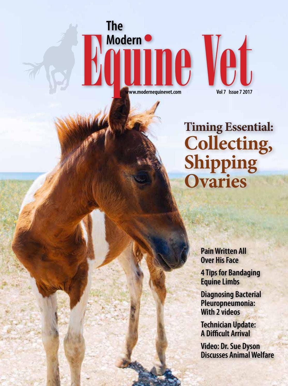 The Modern Equine Vet July 2017 by The Modern Equine Vet - Issuu