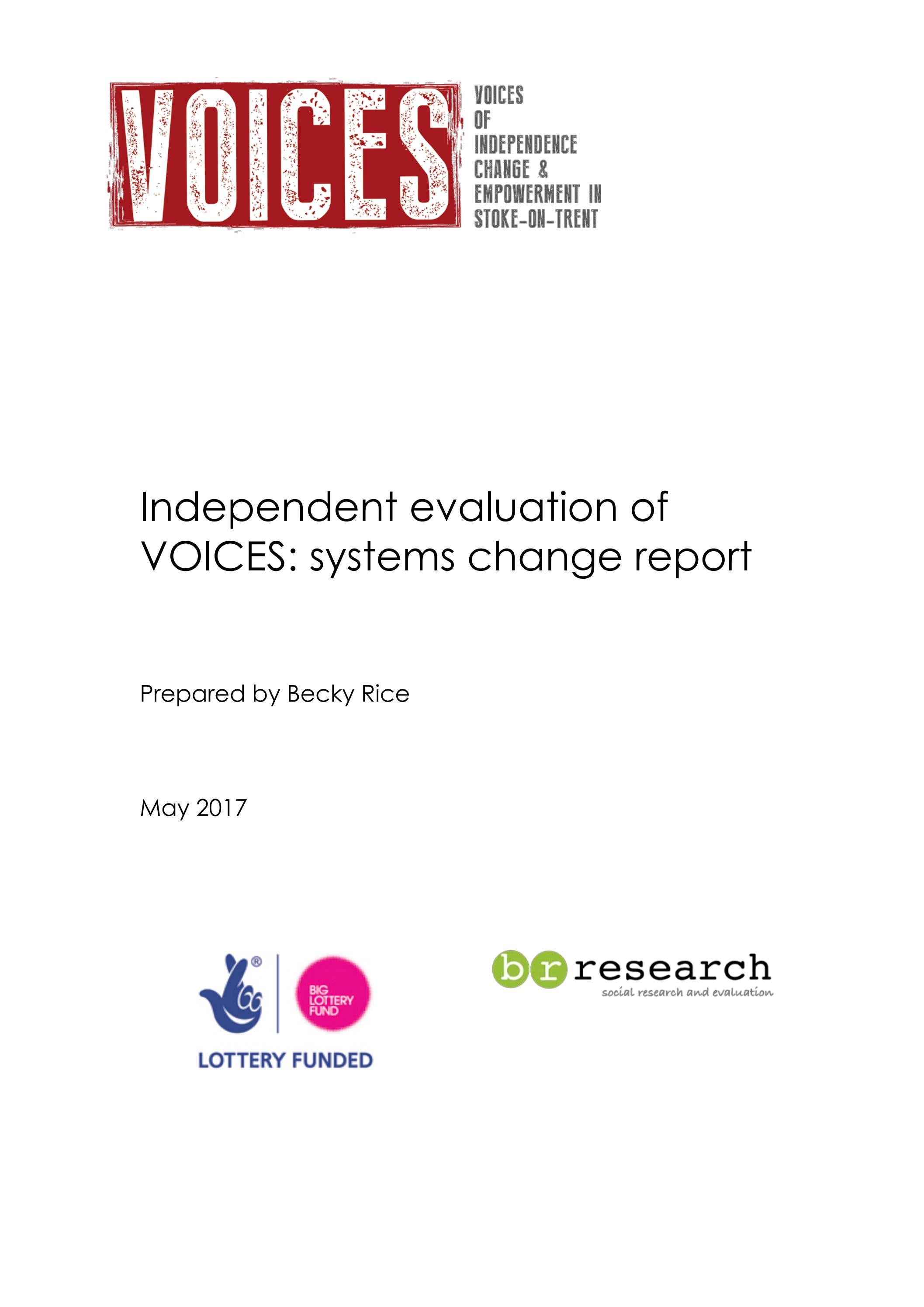 Systems Change - Local Evaluation Report by VOICES - Issuu