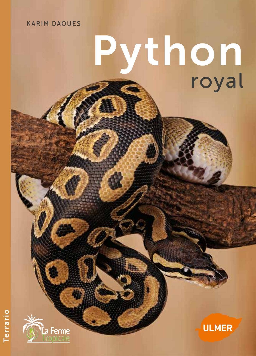Extrait Python royal - Éditions ULMER by Éditions Ulmer - Issuu