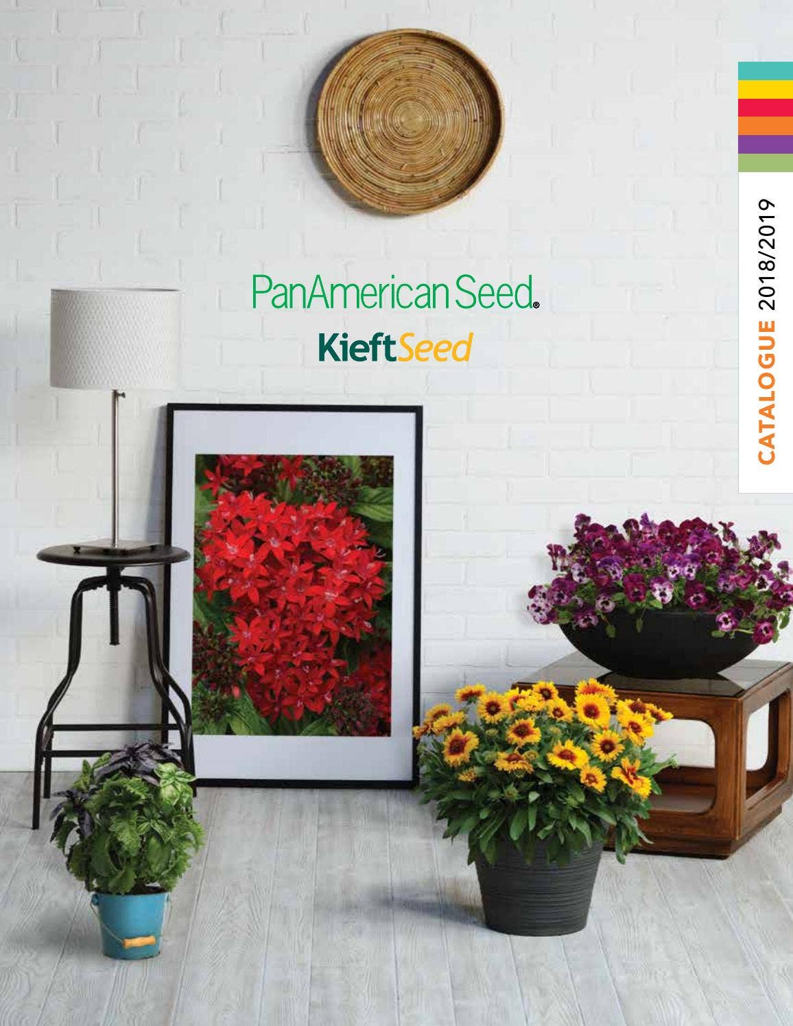 PanAmerican Seed Kieft Seed 2018/2019 Catalogue by PanAmerican Seed - Issuu