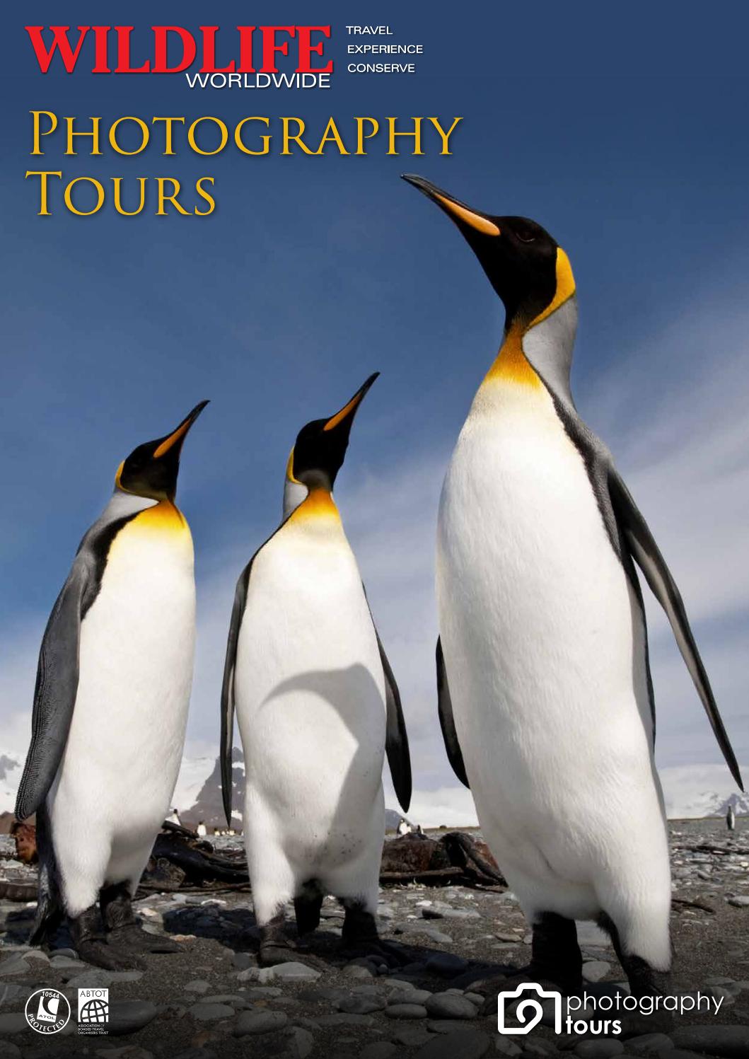 Wildlife Worldwide Photography Tours Brochure 2017 by The Natural ...