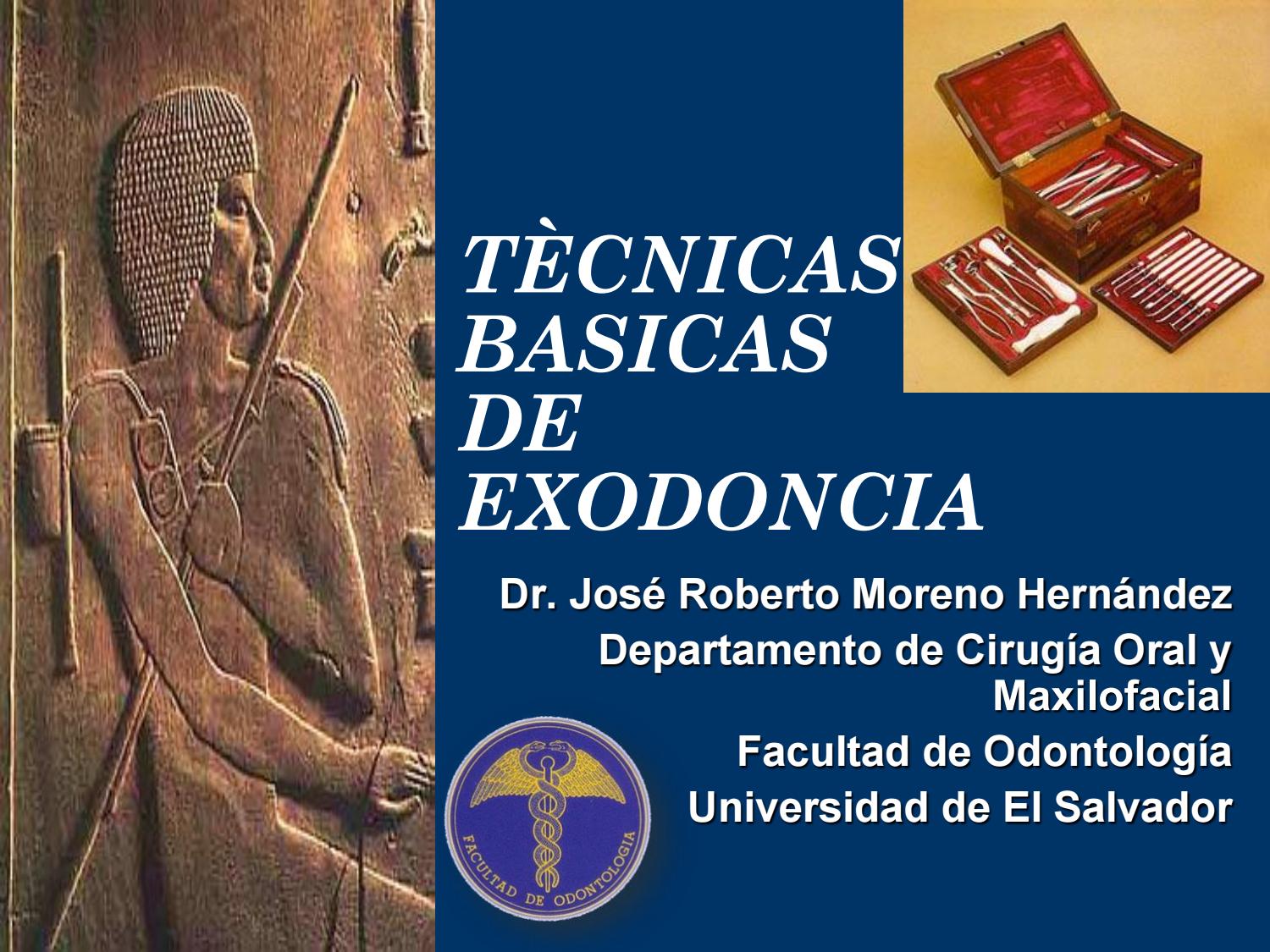 Exodoncia by jmor_her99 - Issuu