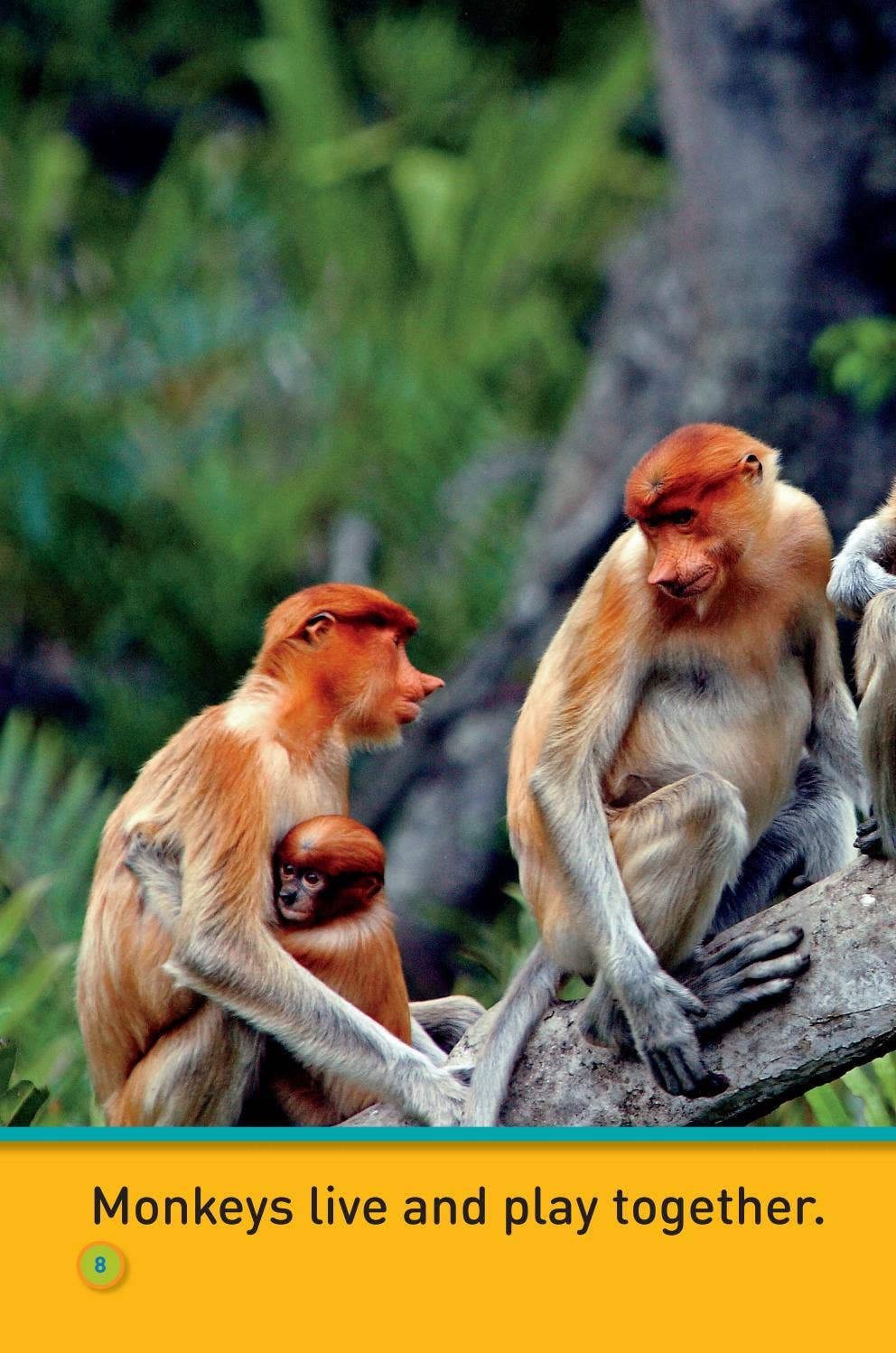National Geographic Readers - Hang On, Monkey! by Collins - Issuu