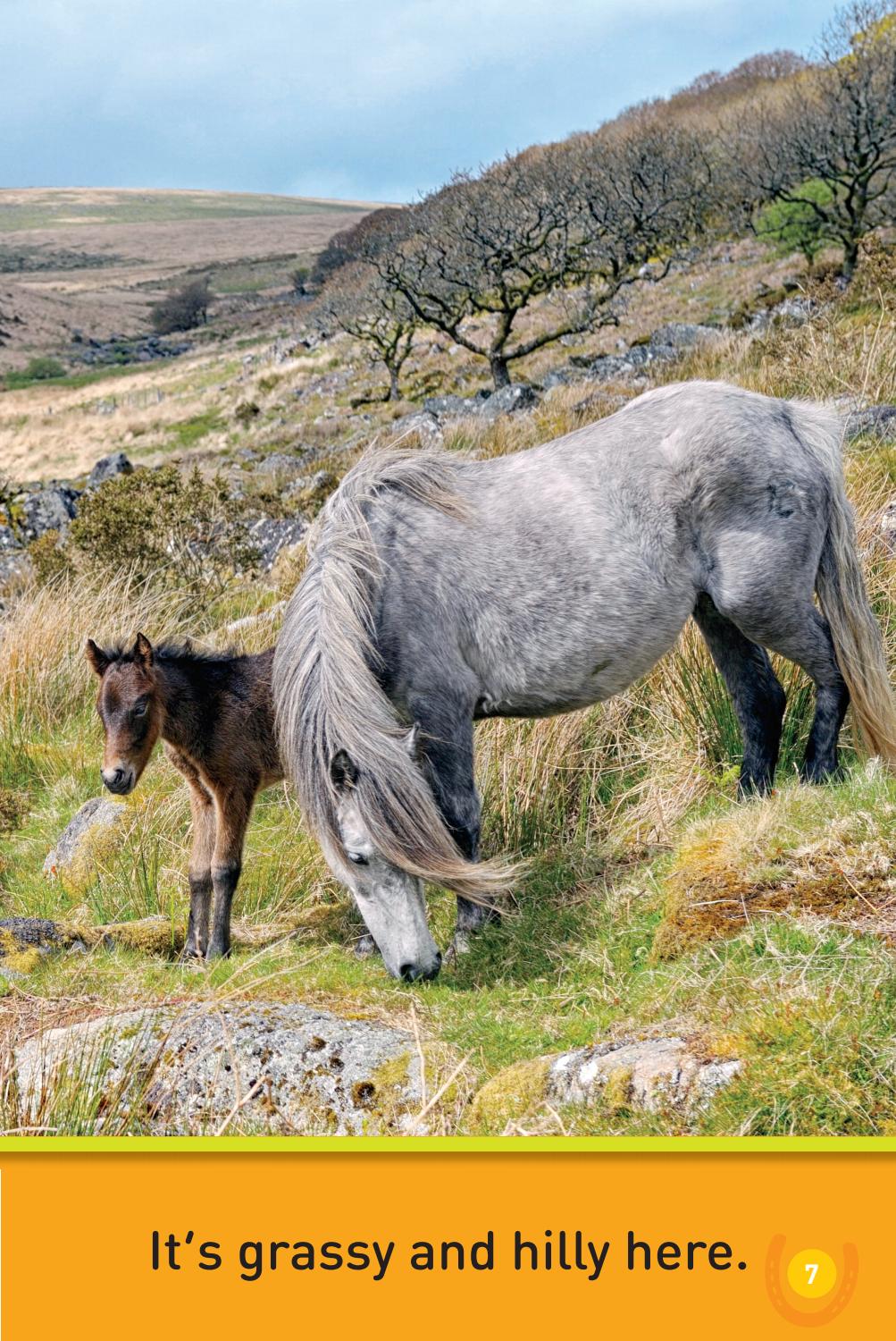 National Geographic Readers - Trot, Pony! by Collins - Issuu