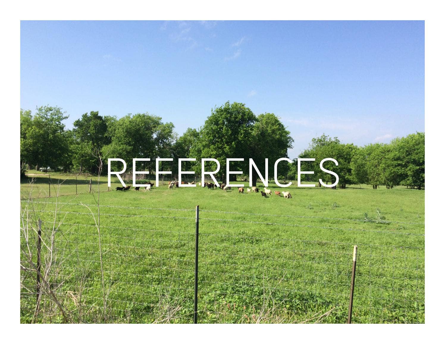 Austin's Gilleland Creek District: State of the Community Report by ...