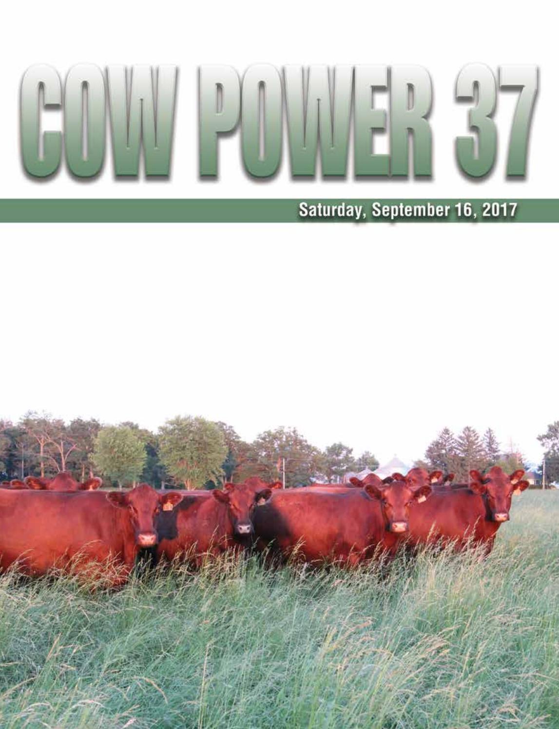 Waukaru cow power 2017 by SCI - Stephanie Cronin, INC - Issuu