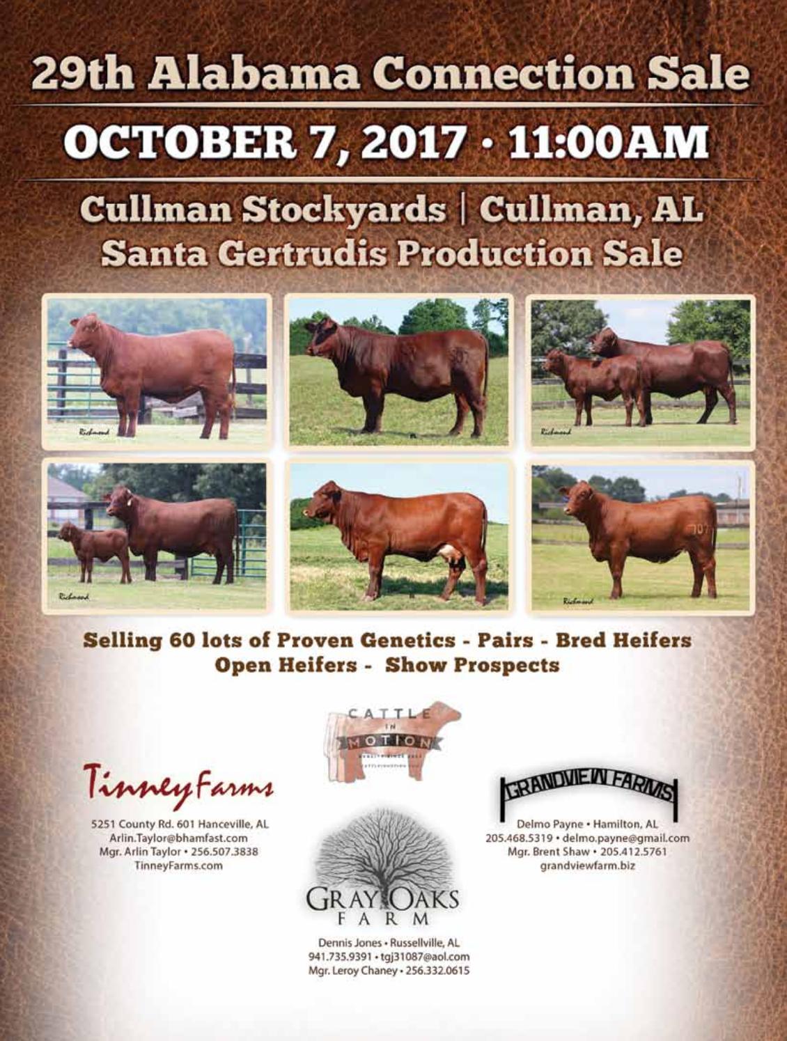 Alabama Connection Sale by Cattle In Motion, LLC - Issuu