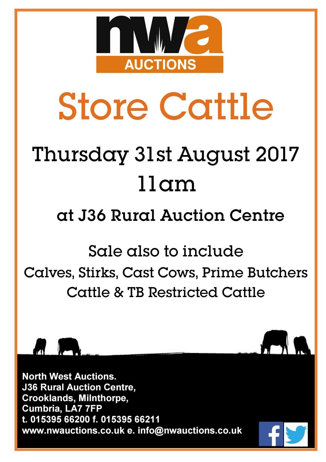 J36 Store Cattle by North West Auctions - Issuu