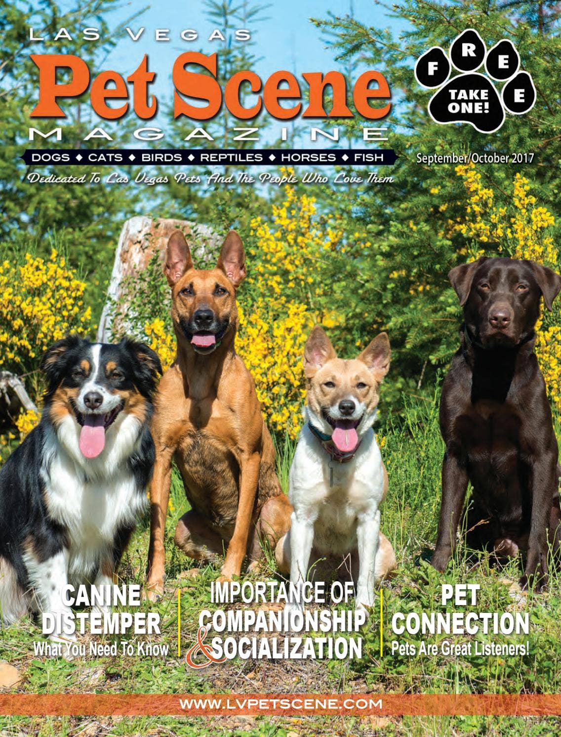 Las Vegas Pet Scene Magazine – September/October 2017 by Homes ...